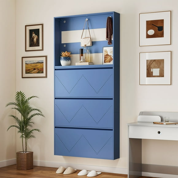Wall Mounted Shoe Cabinet