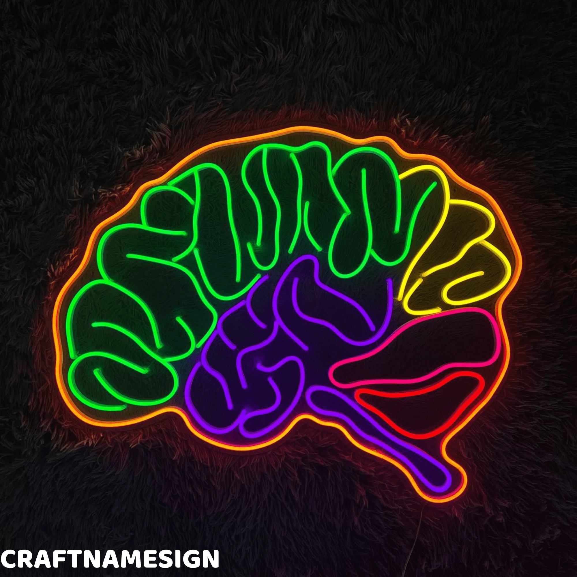 Craftnamesign Color Brain Neon Signs, Biology Wall Art, Home Living ...