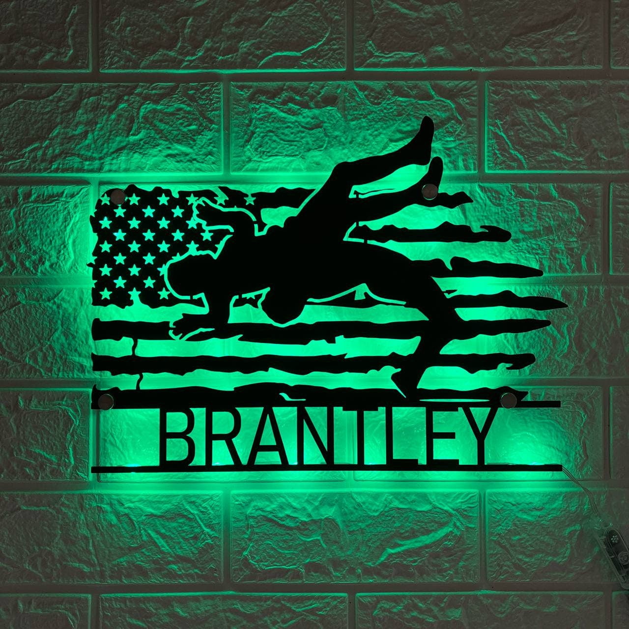 Craftnamesign Custom Wrestler Metal Wall Art LED Light, Personalized ...