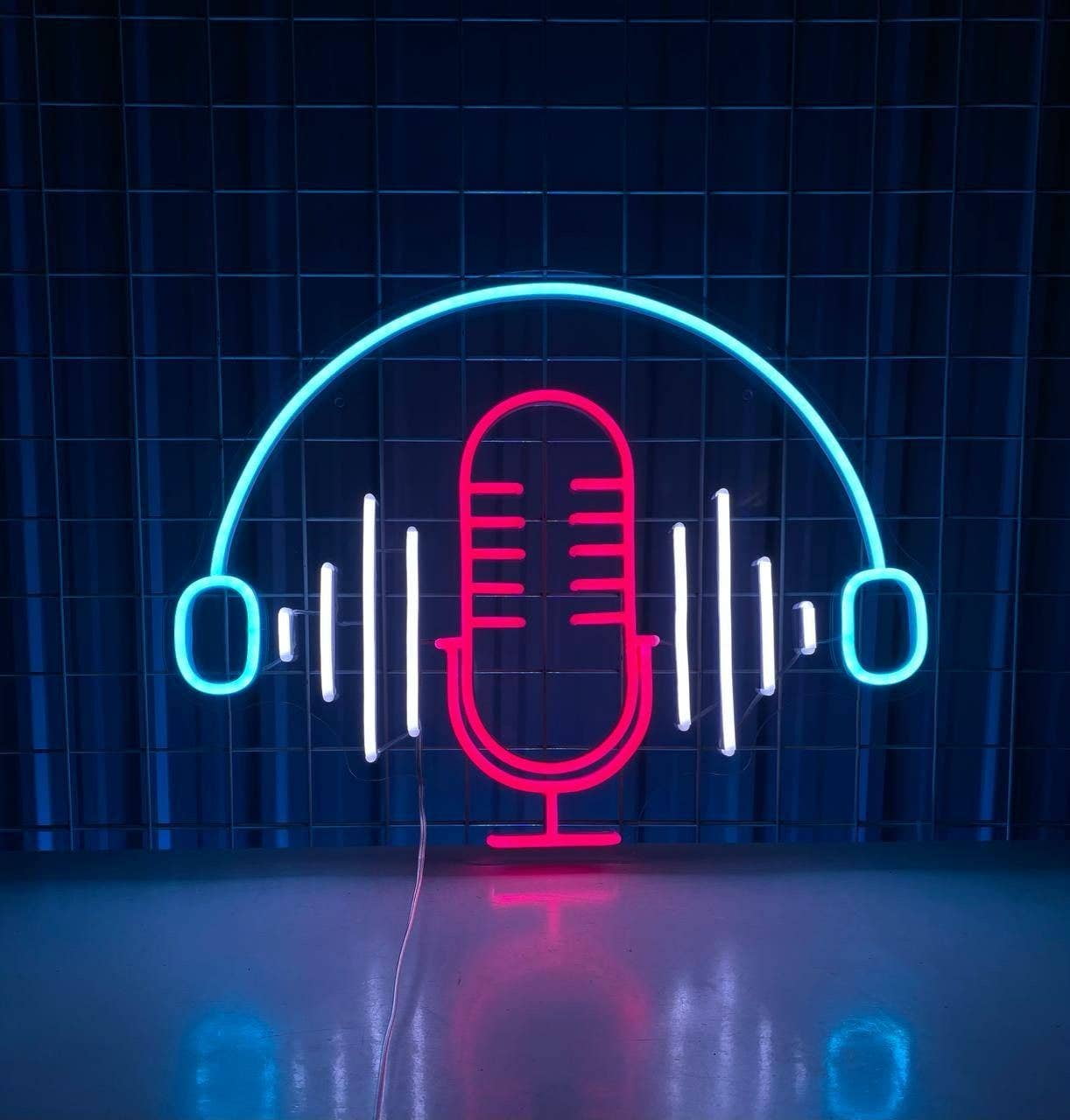 Craftnamesign Microphone Neon LED Light Signs 20" x 16" For Record ...