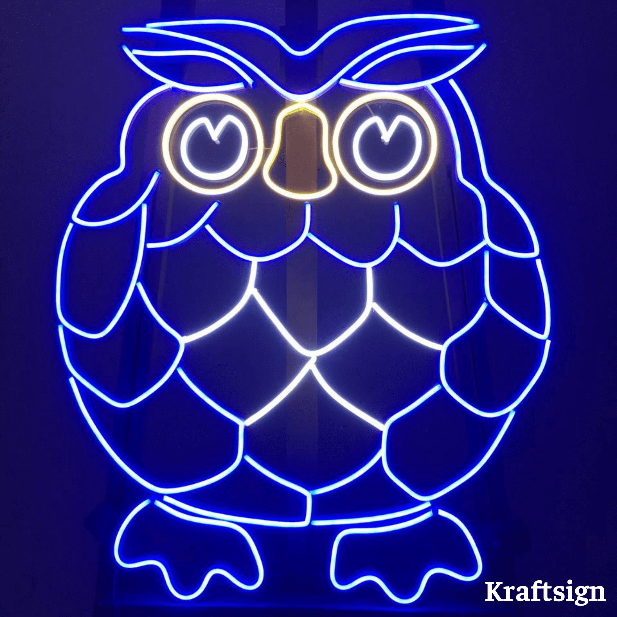 Craftnamesign Owl LED Light Neon Sign 20" x 23" for Bedroom Wall Art ...