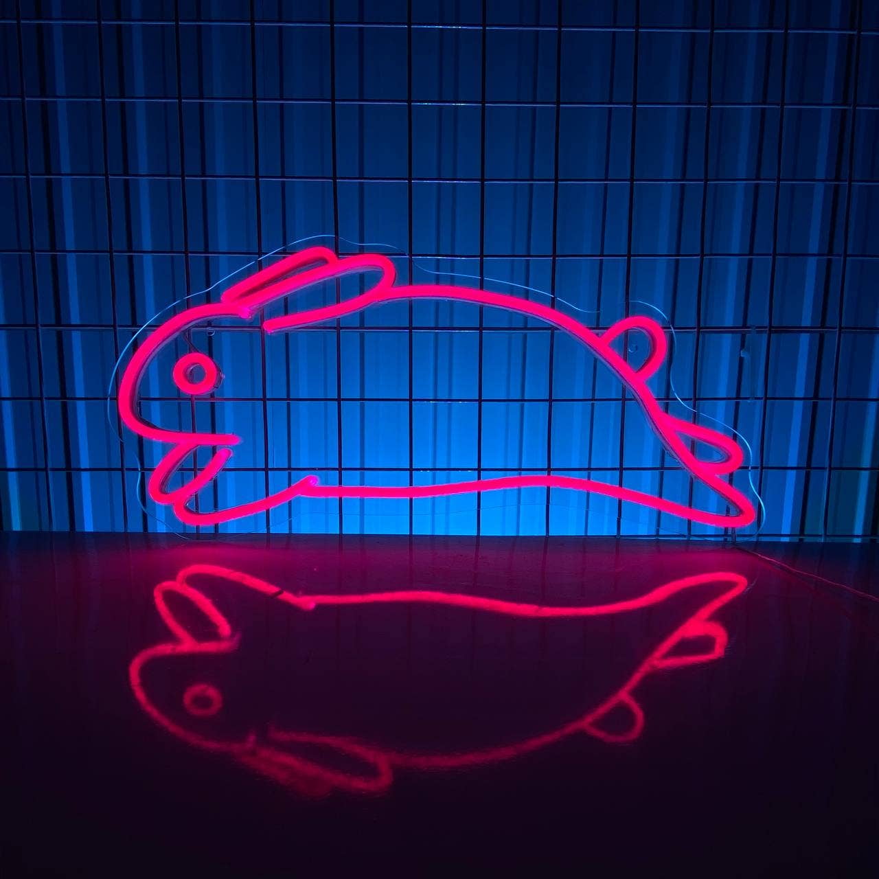 Craftnamesign Rabbit Neon LED Lights Signs 18" x 8" For Nursery Kid ...