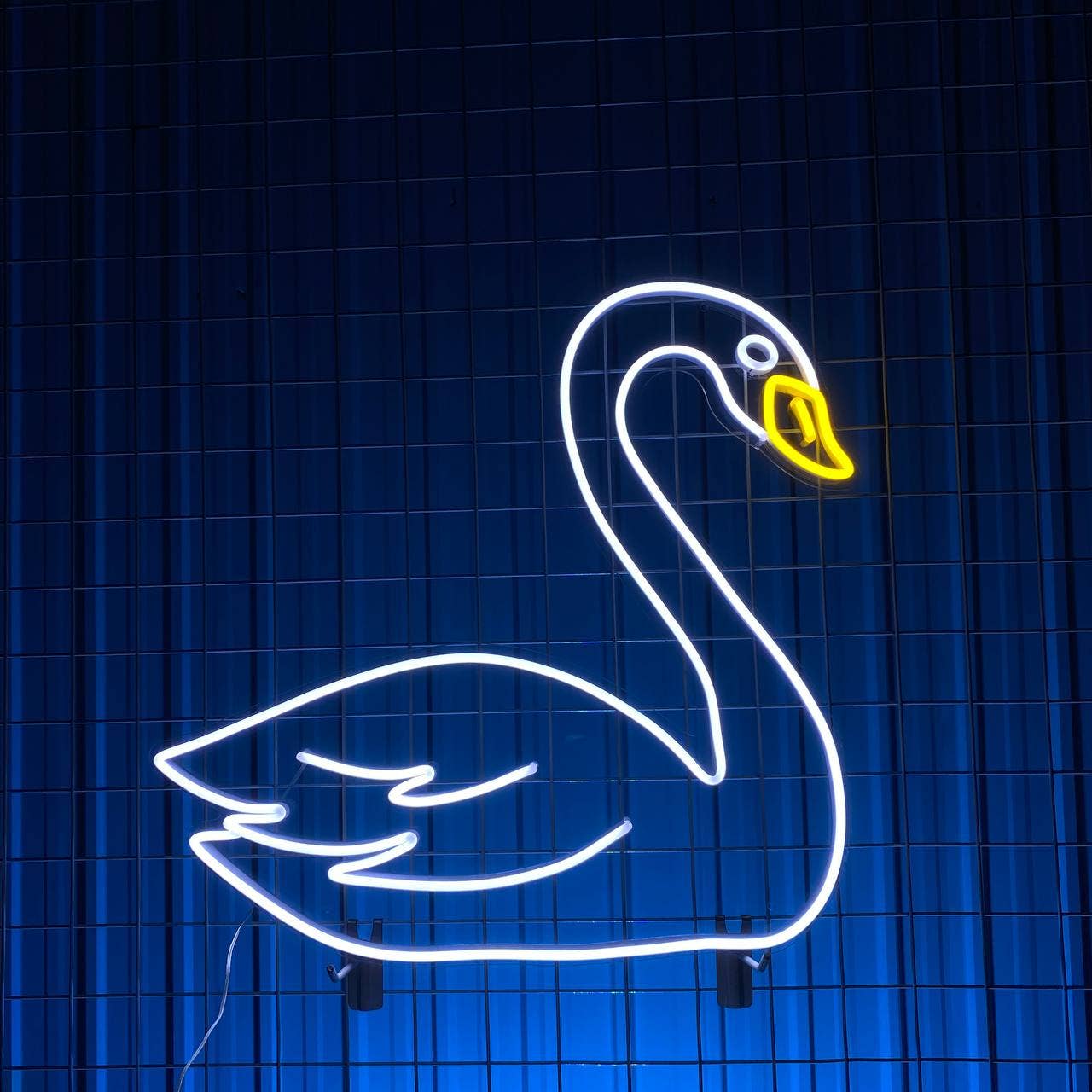 Craftnamesign Swan Neon Sign, Swan LED Sign, Bedroom Decor, Swan Lover ...