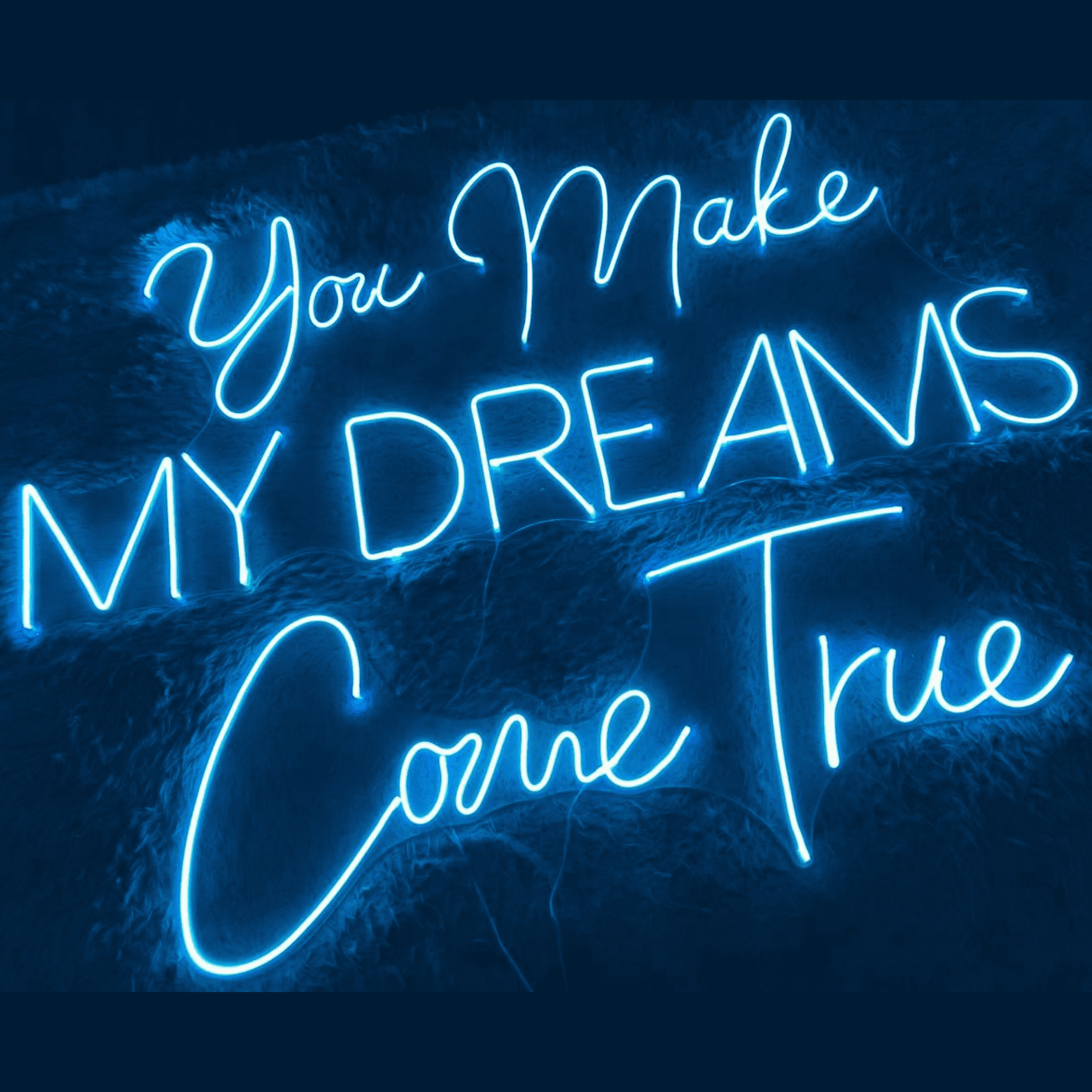 Craftnamesign You Make My Dreams Come True Neon Sign 23" x 16" for ...
