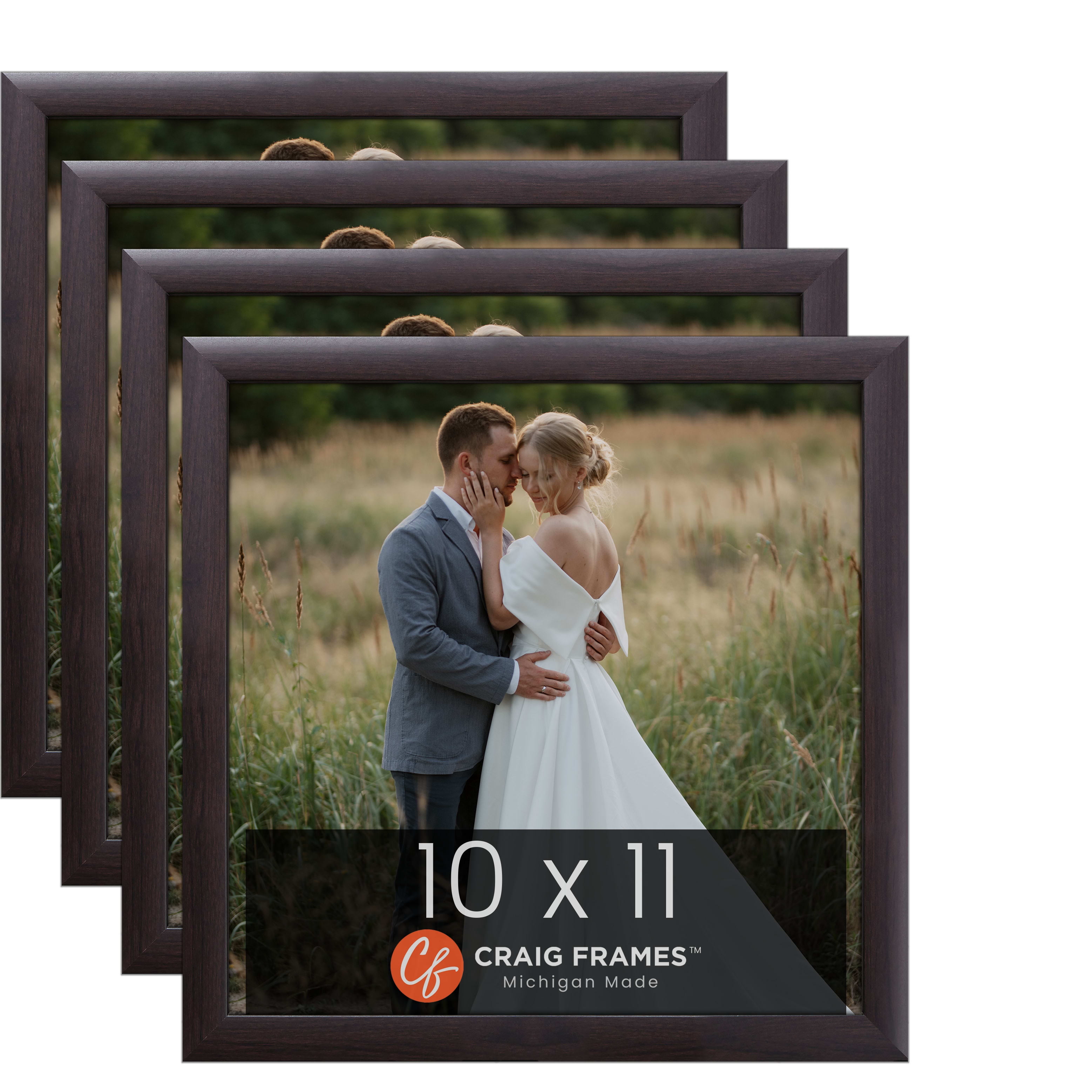 Craig Frames 10 x 11 inch Picture Frame Brazilian Walnut Brown, Set of ...