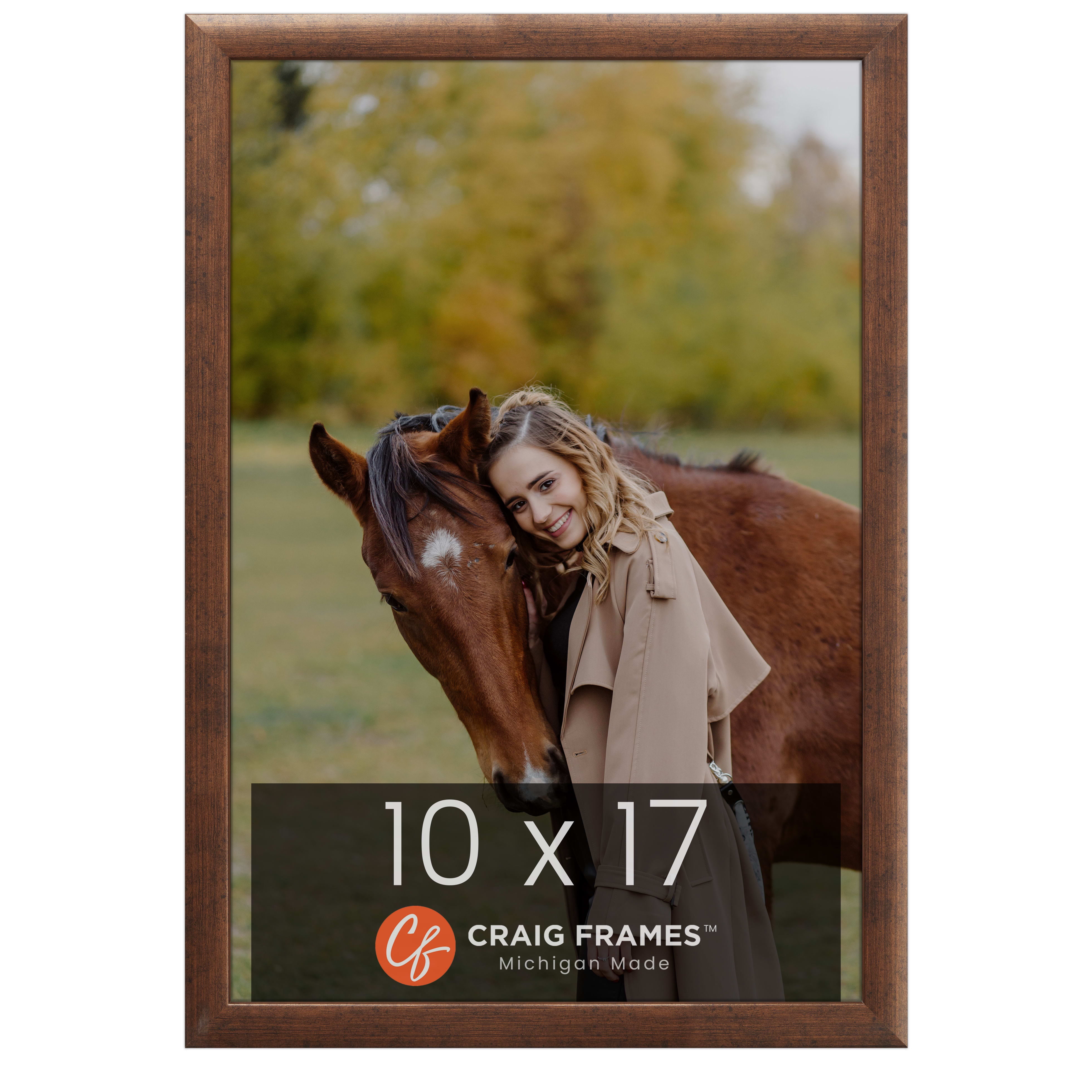 Craig Frames 10x17 Rustic Copper Picture Frame - Walmart.com