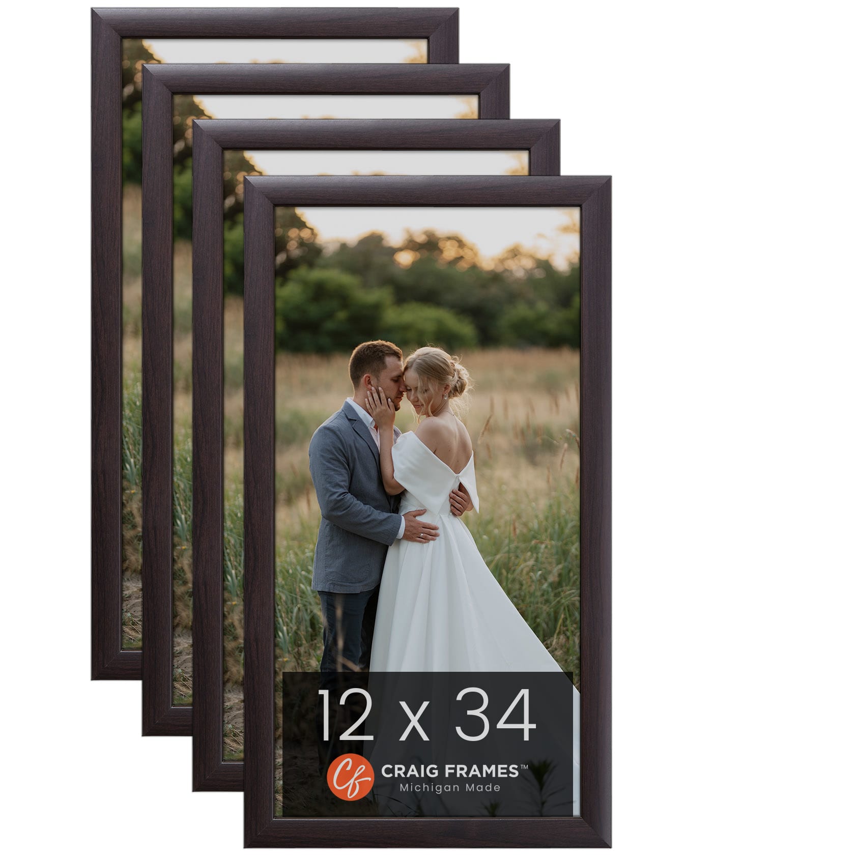 Craig Frames 12 x 34 inch Picture Frame Brazilian Walnut Brown, Set of ...