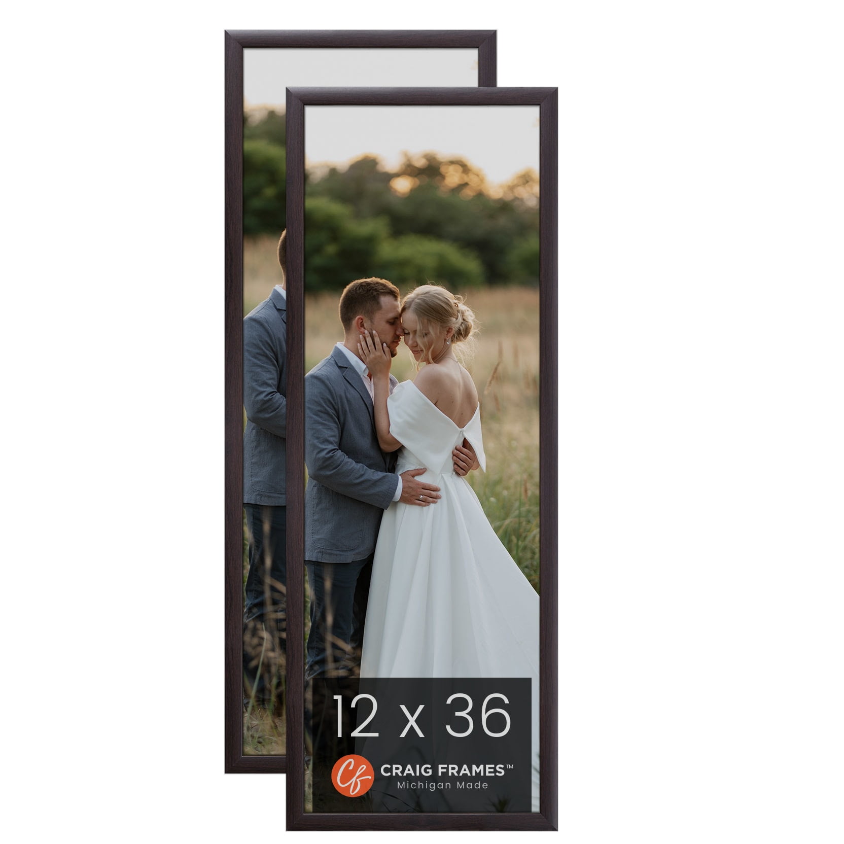 Craig Frames 12 x 36 inch Picture Frame Brazilian Walnut Brown, Set of ...