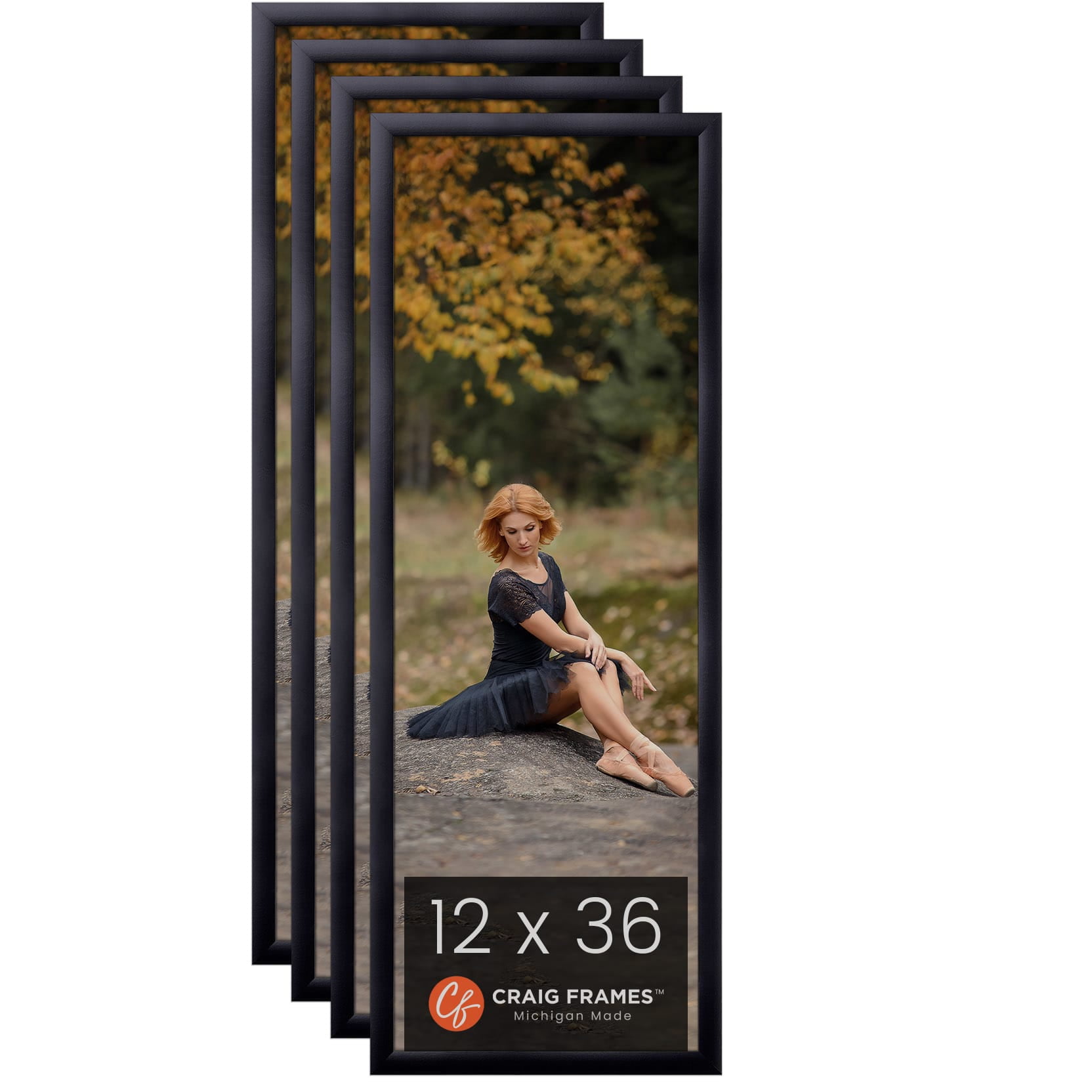 Craig Frames 12x36 Black Picture Frame 1-Inch Wide Smooth Black Gallery ...