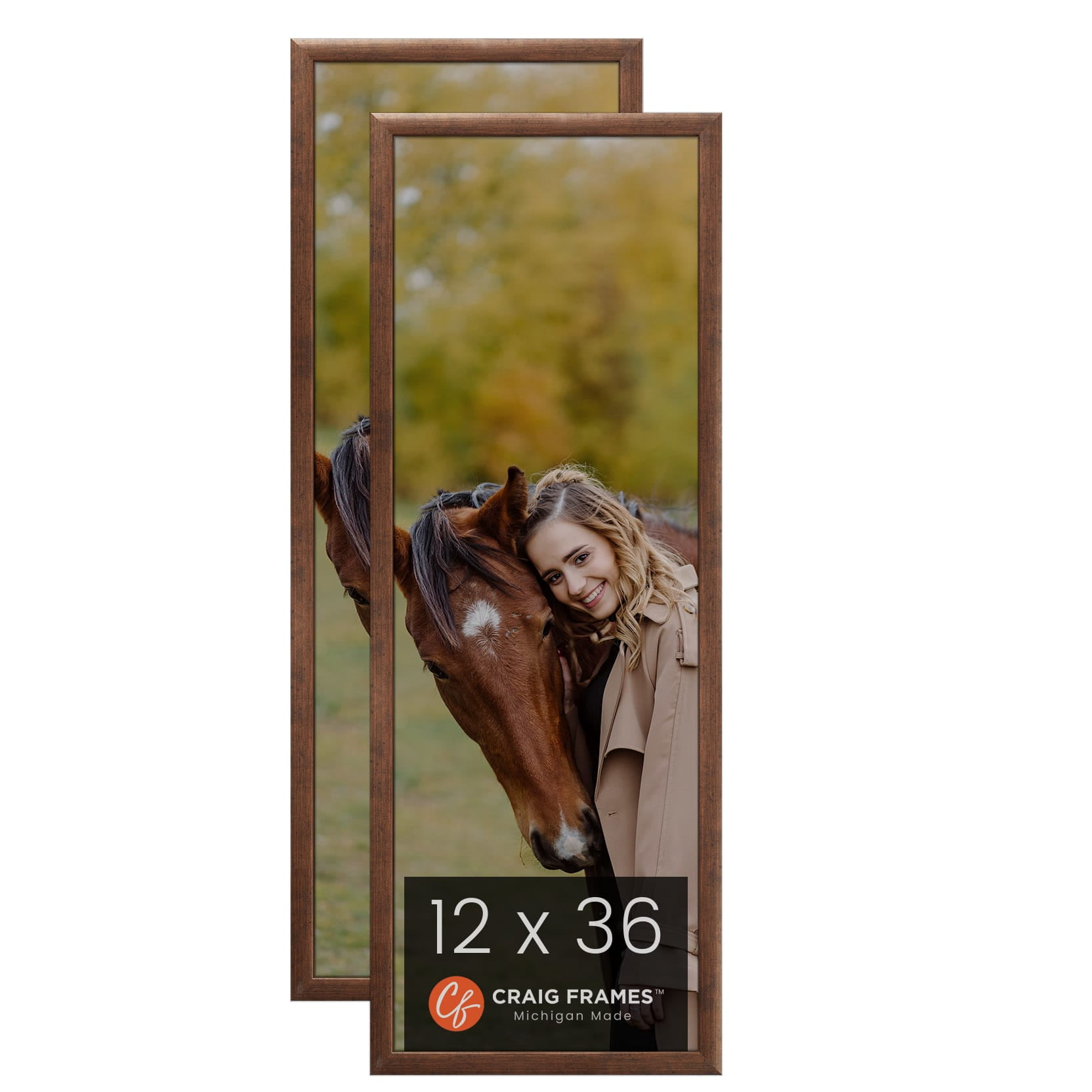 Craig Frames 12x36 Rustic Copper Picture Frame, Set of Two - Walmart.com