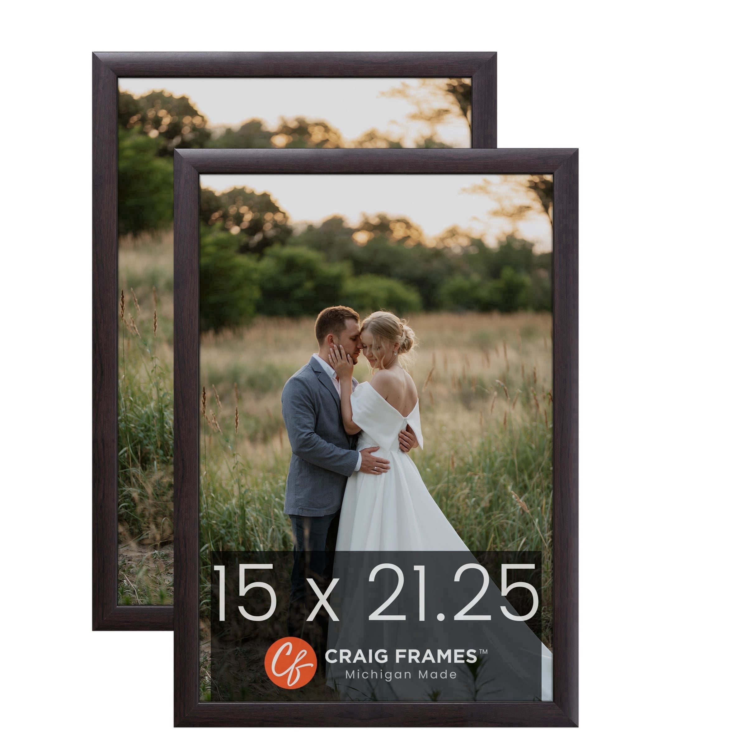 Craig Frames 15 x 21.25 inch Picture Frame Brazilian Walnut Brown, Set ...