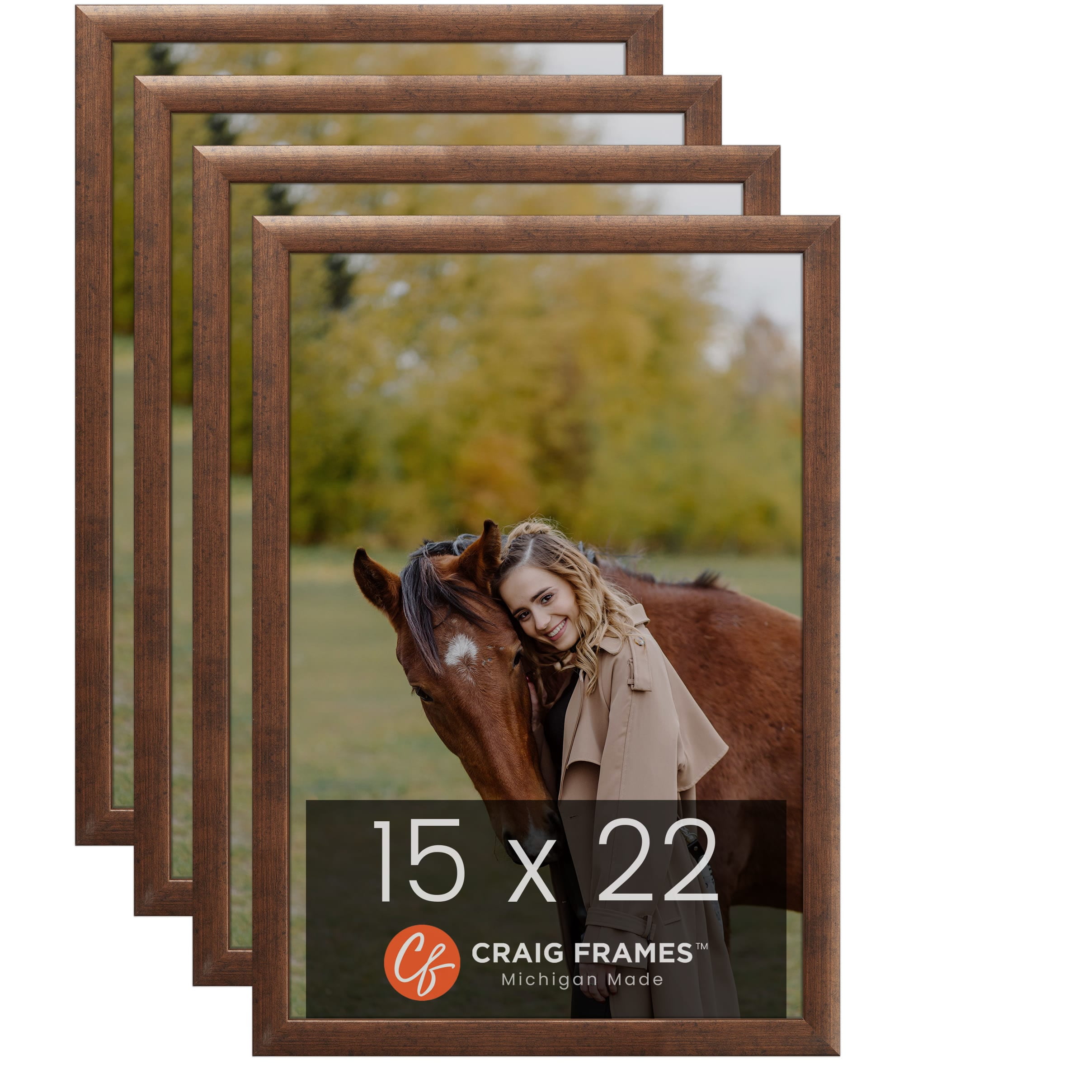 Craig Frames 15x22 Rustic Copper Picture Frame, Set of Four - Walmart.com