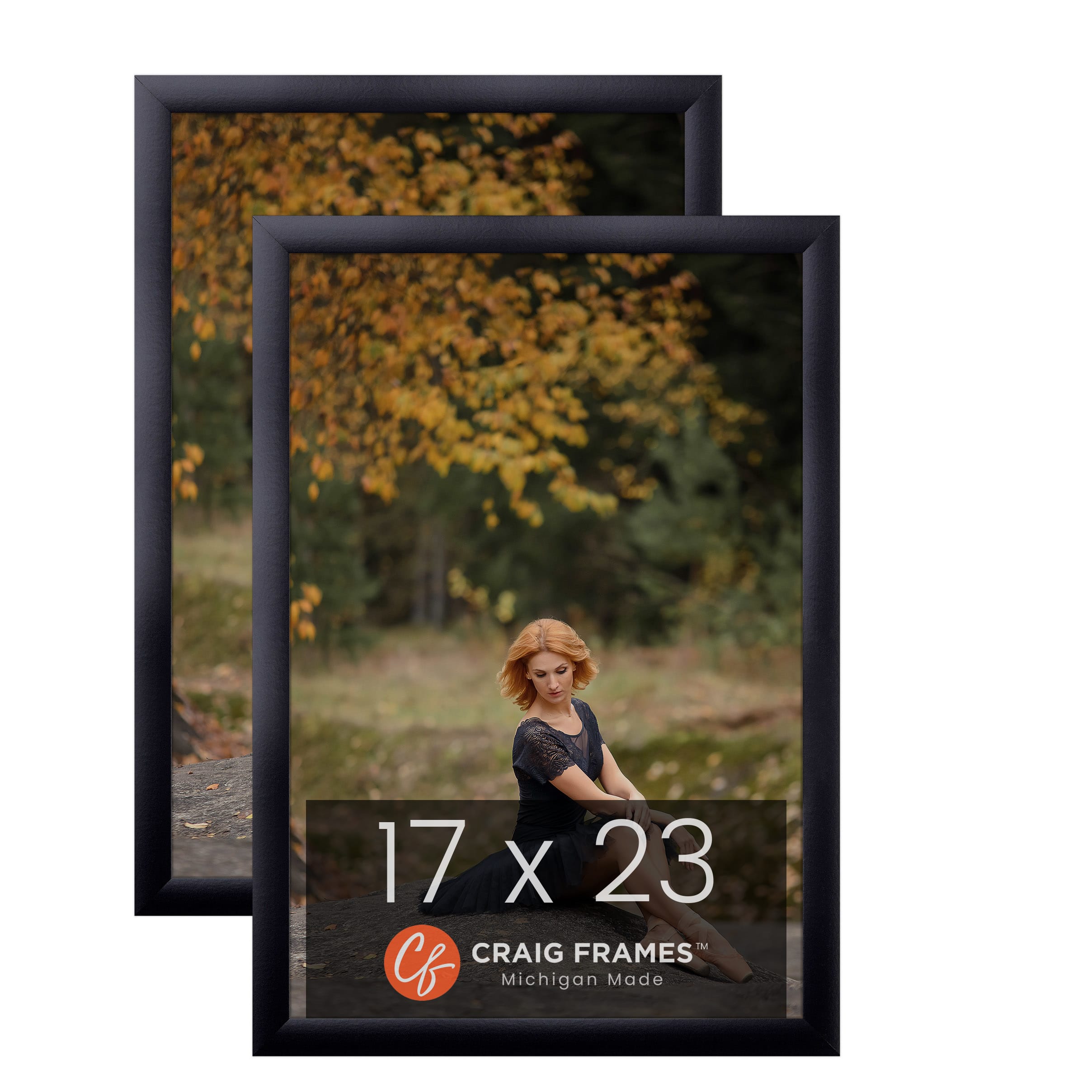 Craig Frames 17x23 Black Picture Frame 1-Inch Wide Smooth Black Gallery ...