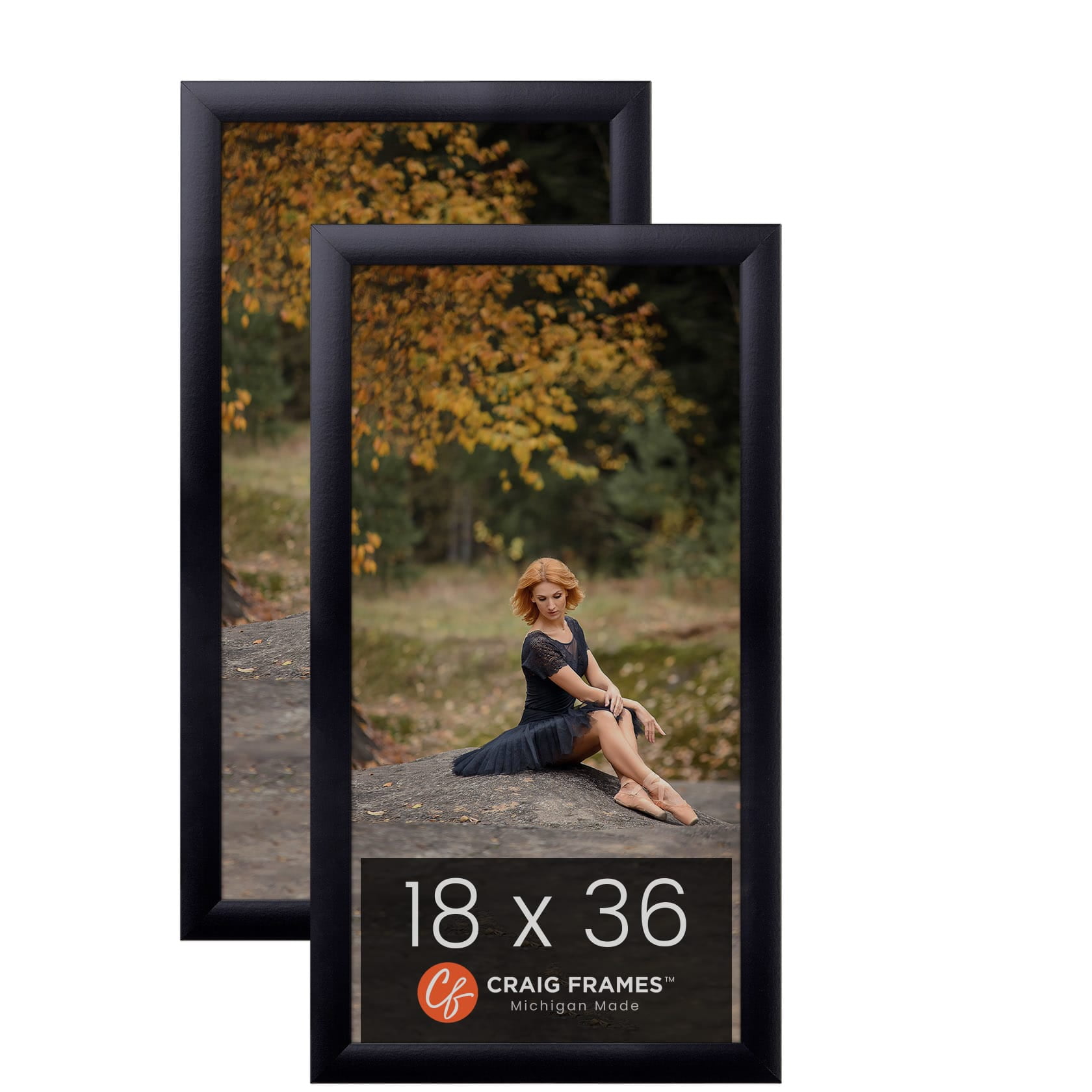 Craig Frames 18x36 Black Picture Frame 1-Inch Wide Smooth Black Gallery ...