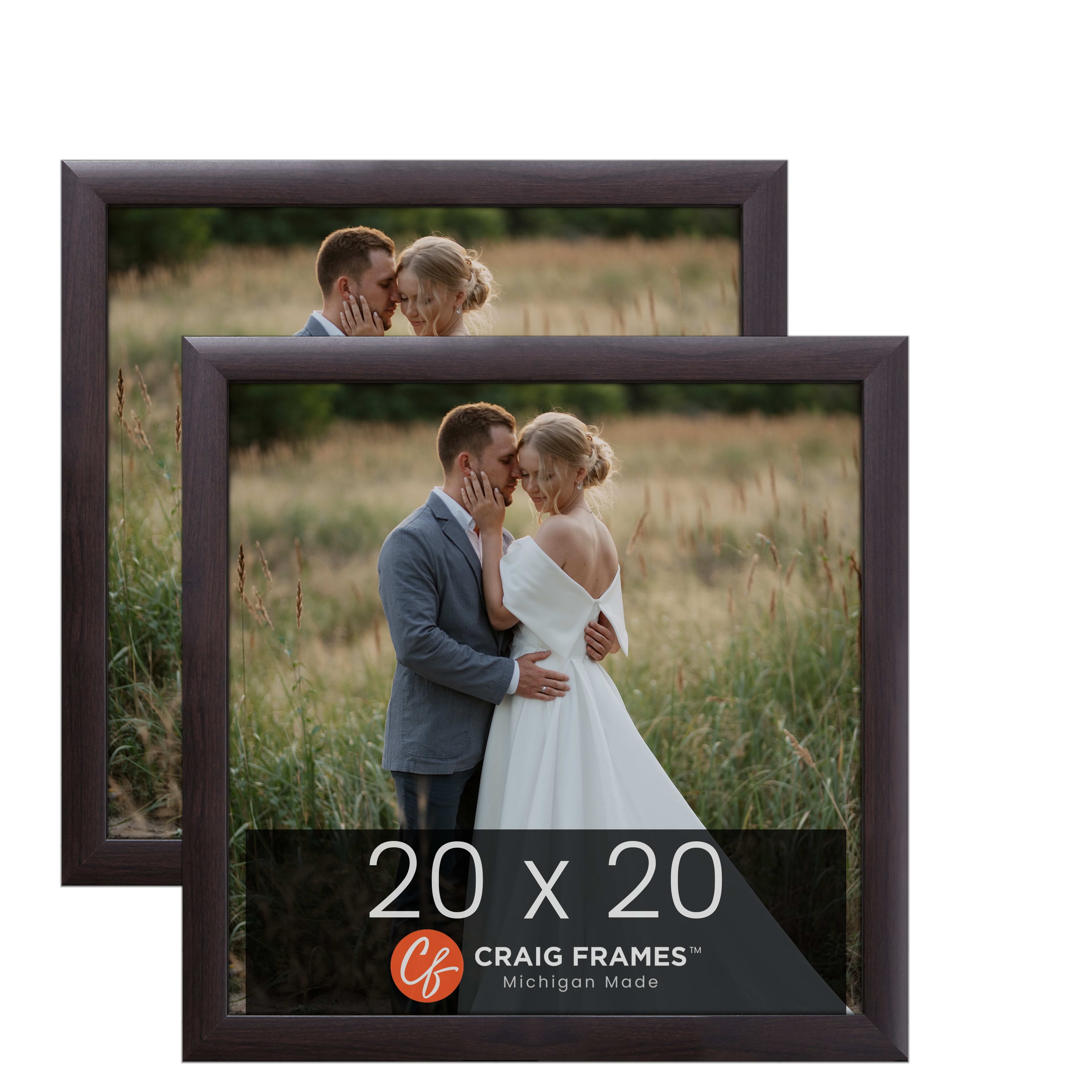 Craig Frames 20 x 20 inch Picture Frame Brazilian Walnut Brown, Set of ...