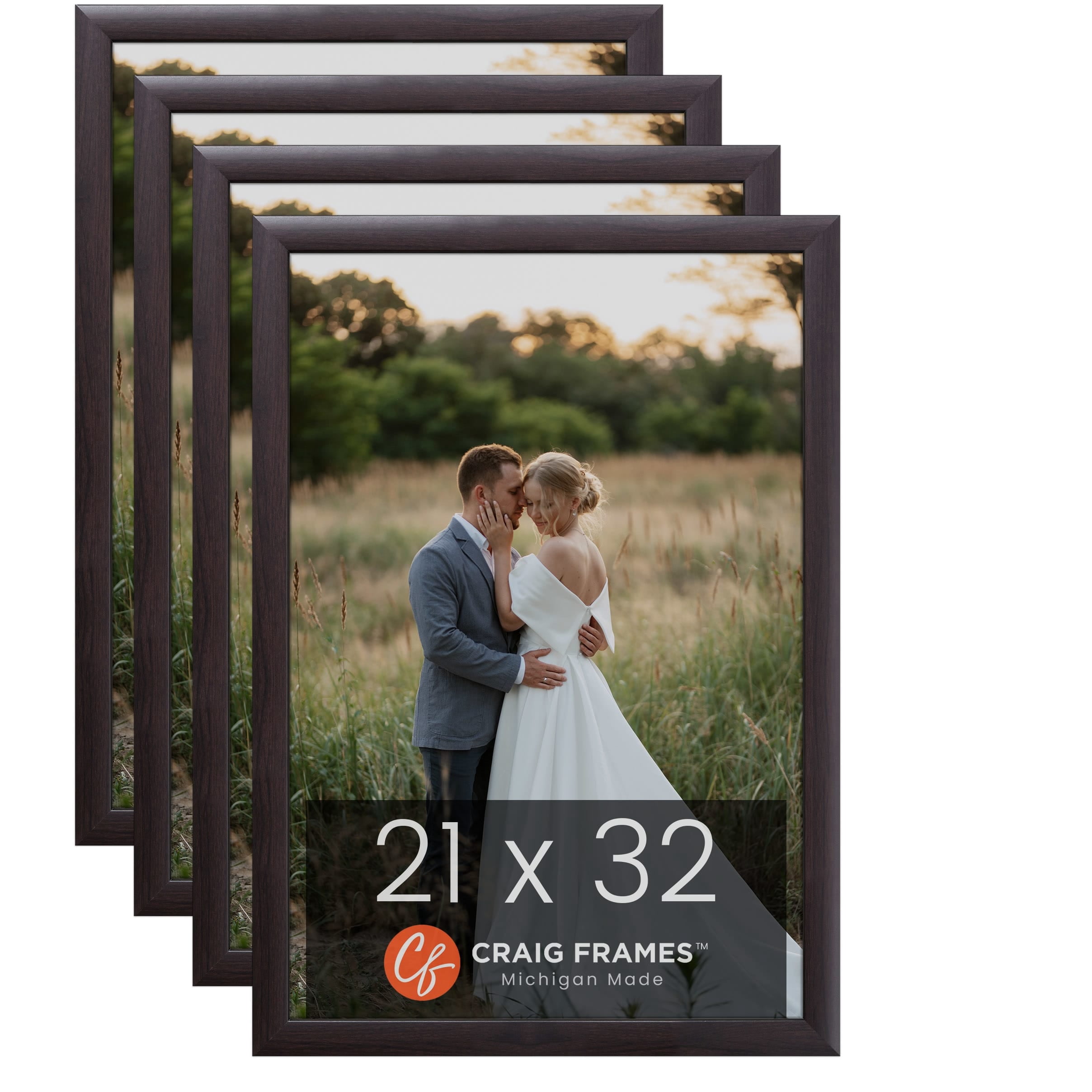 Craig Frames 21 x 32 inch Picture Frame Brazilian Walnut Brown, Set of ...