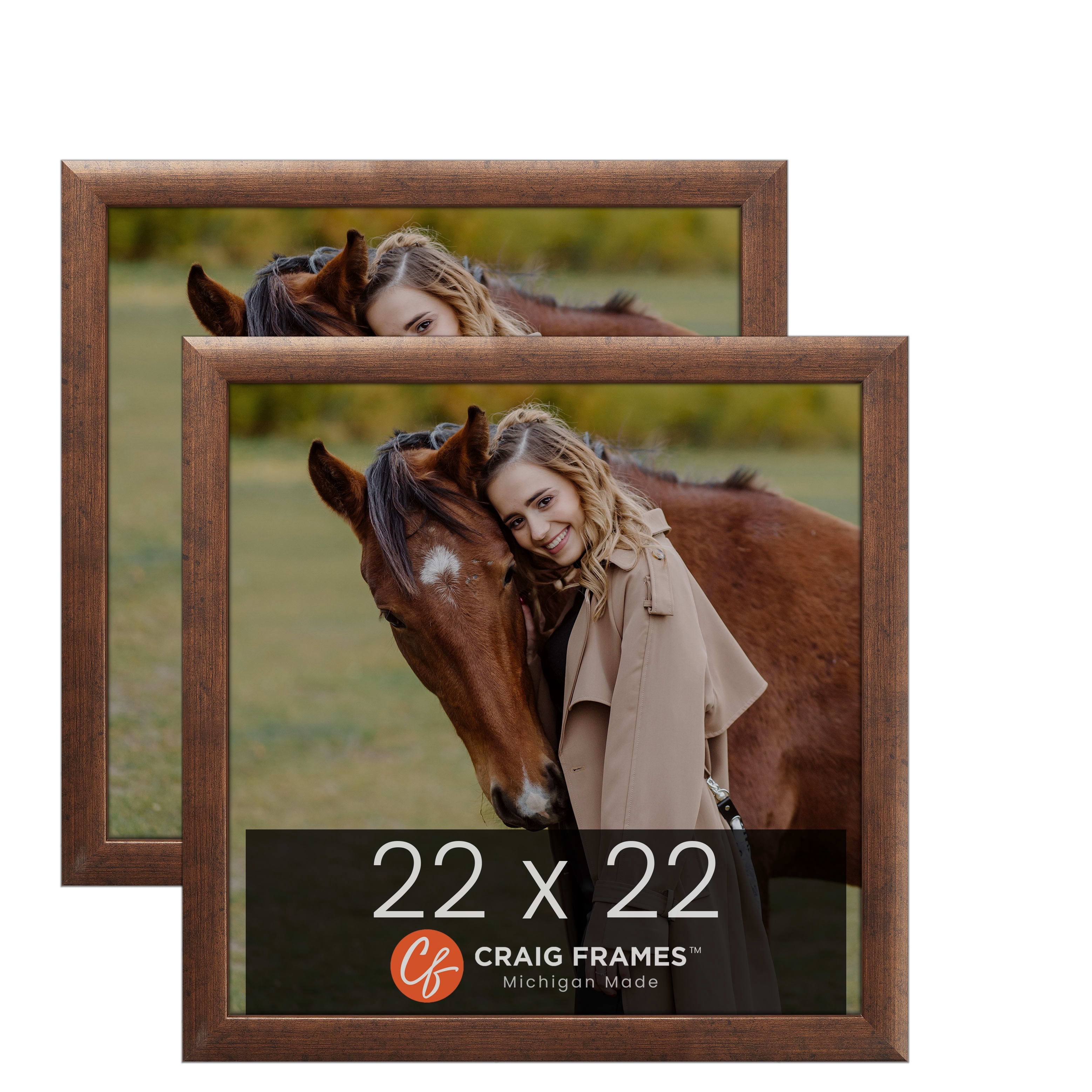 Craig Frames 22x22 Rustic Copper Picture Frame, Set of Two - Walmart.com