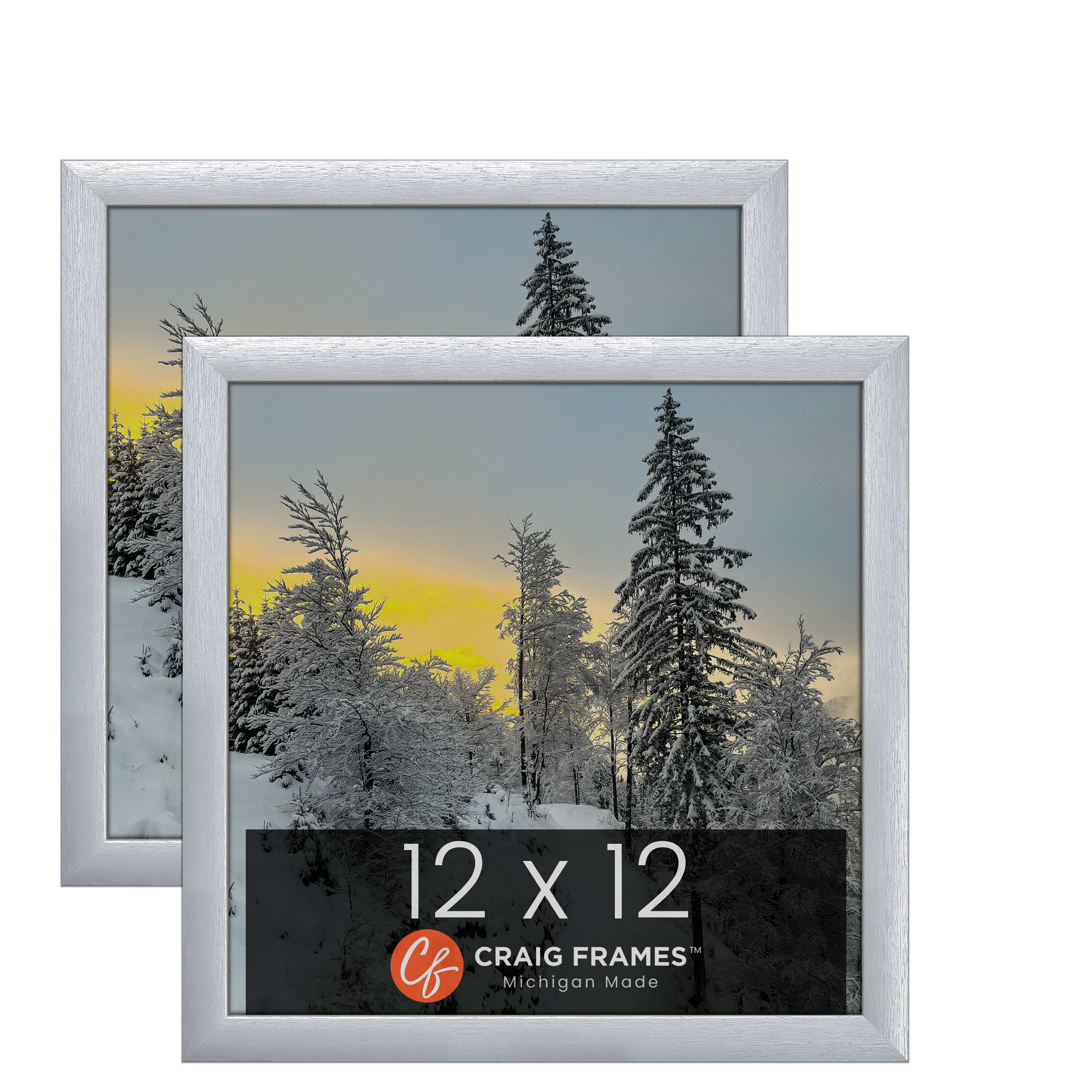 Craig Frames 23247018 12 x 12 Inch Picture Frame, Brushed Silver, Set ...