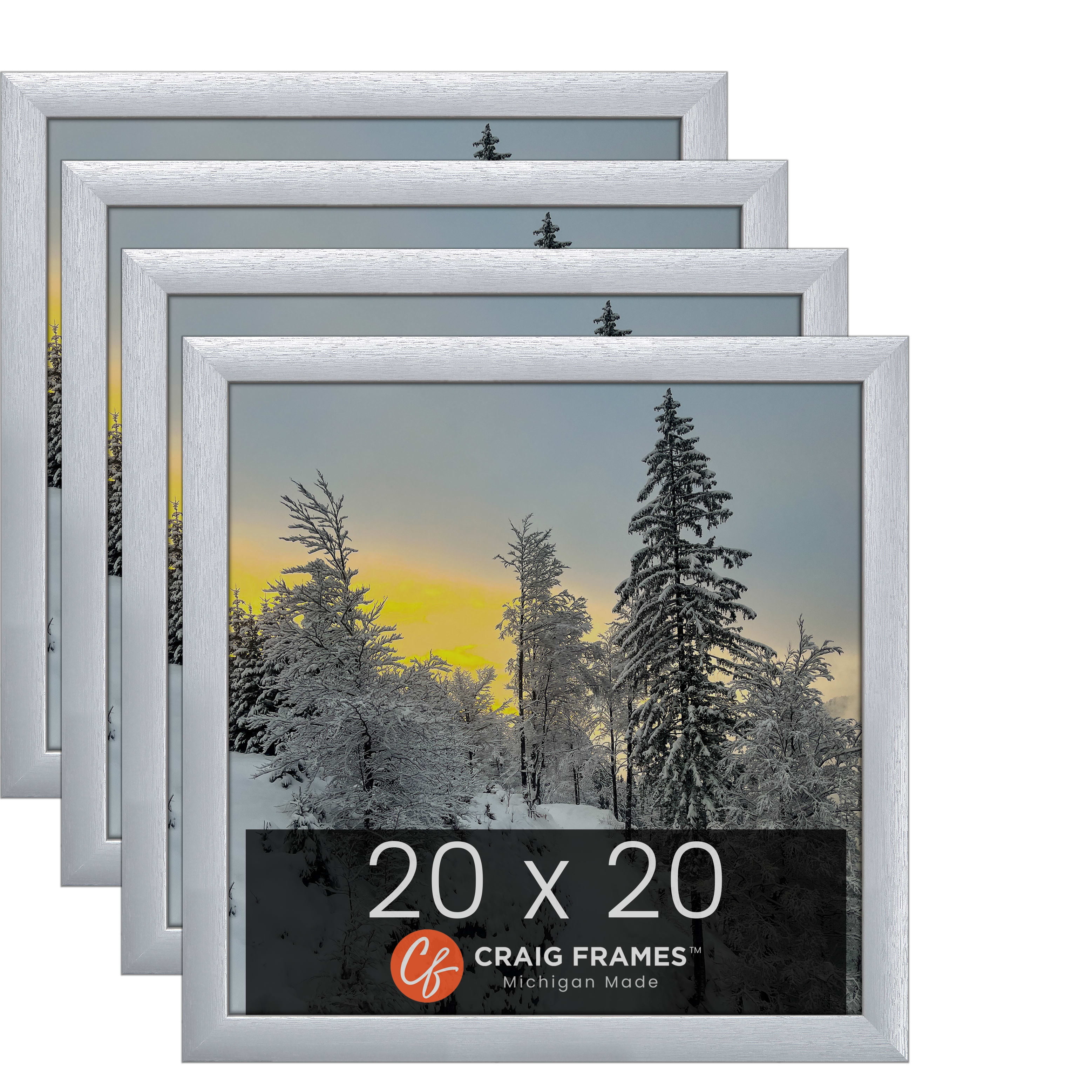 Craig Frames 23247018 20 x 20 Inch Picture Frame, Brushed Silver, Set ...