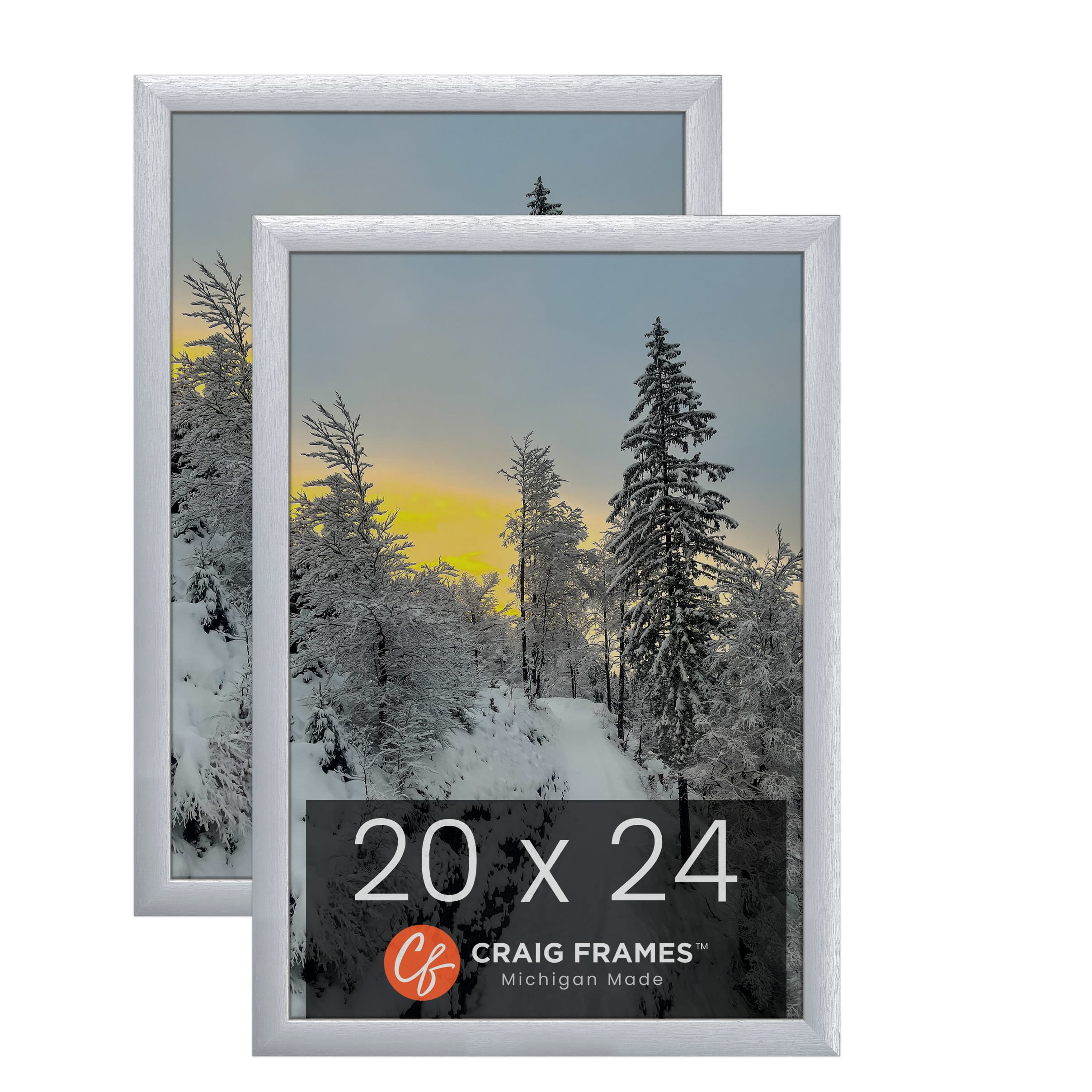 Craig Frames 23247018 20 x 24 Inch Picture Frame, Brushed Silver, Set ...