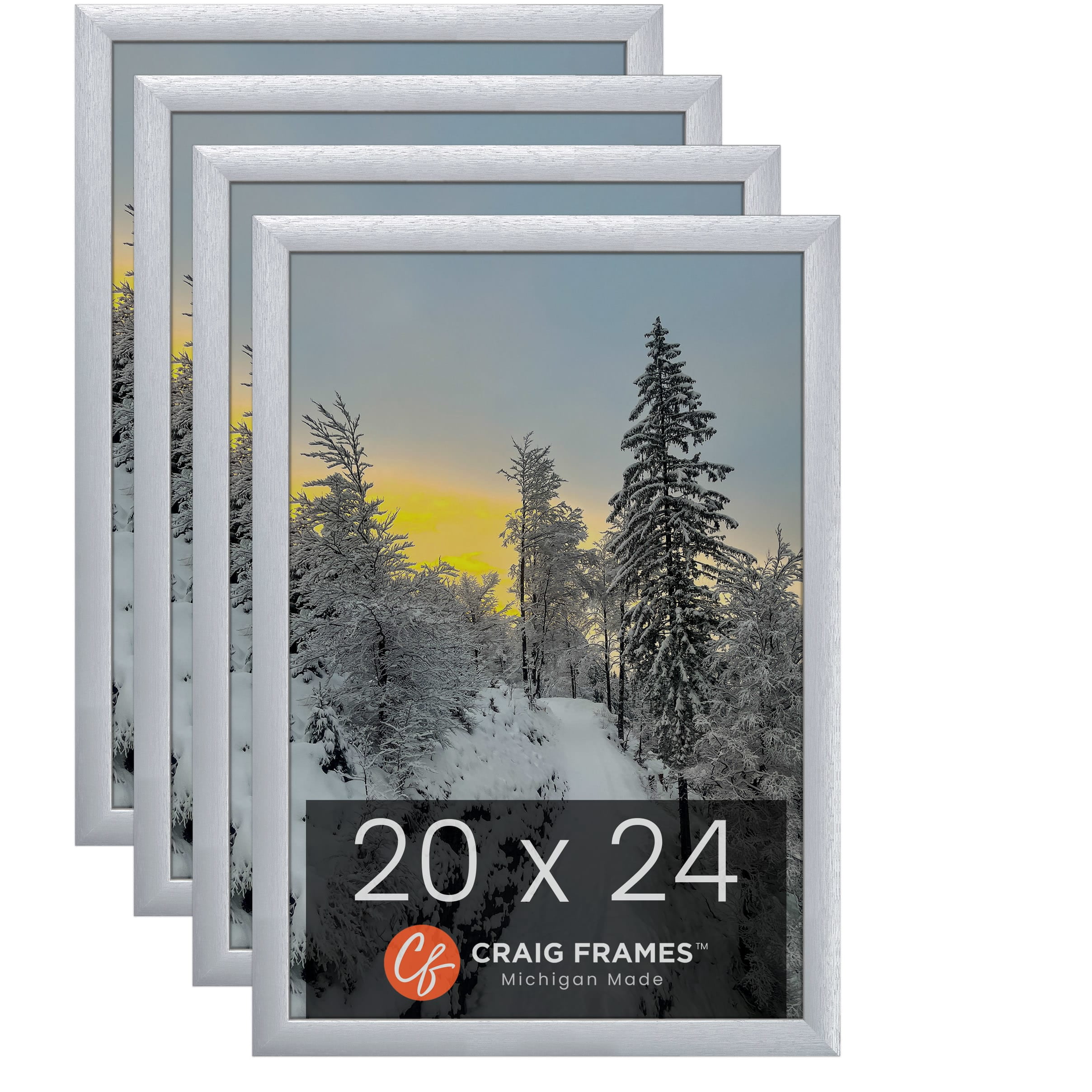 Craig Frames 23247018 20 x 24 Inch Picture Frame, Brushed Silver, Set ...