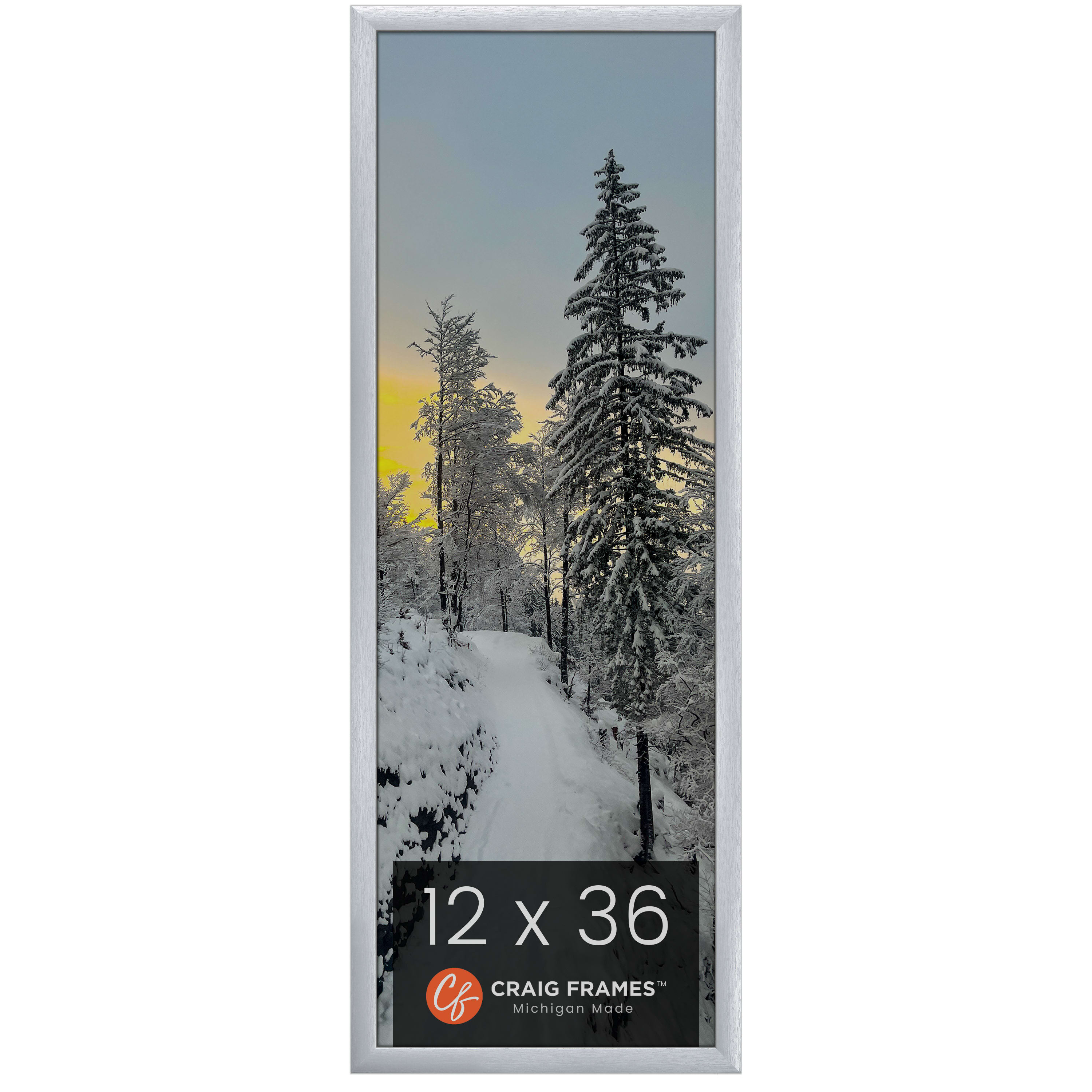 Craig Frames 23247018 Picture Frame, 12x36 inch, Brushed Silver ...