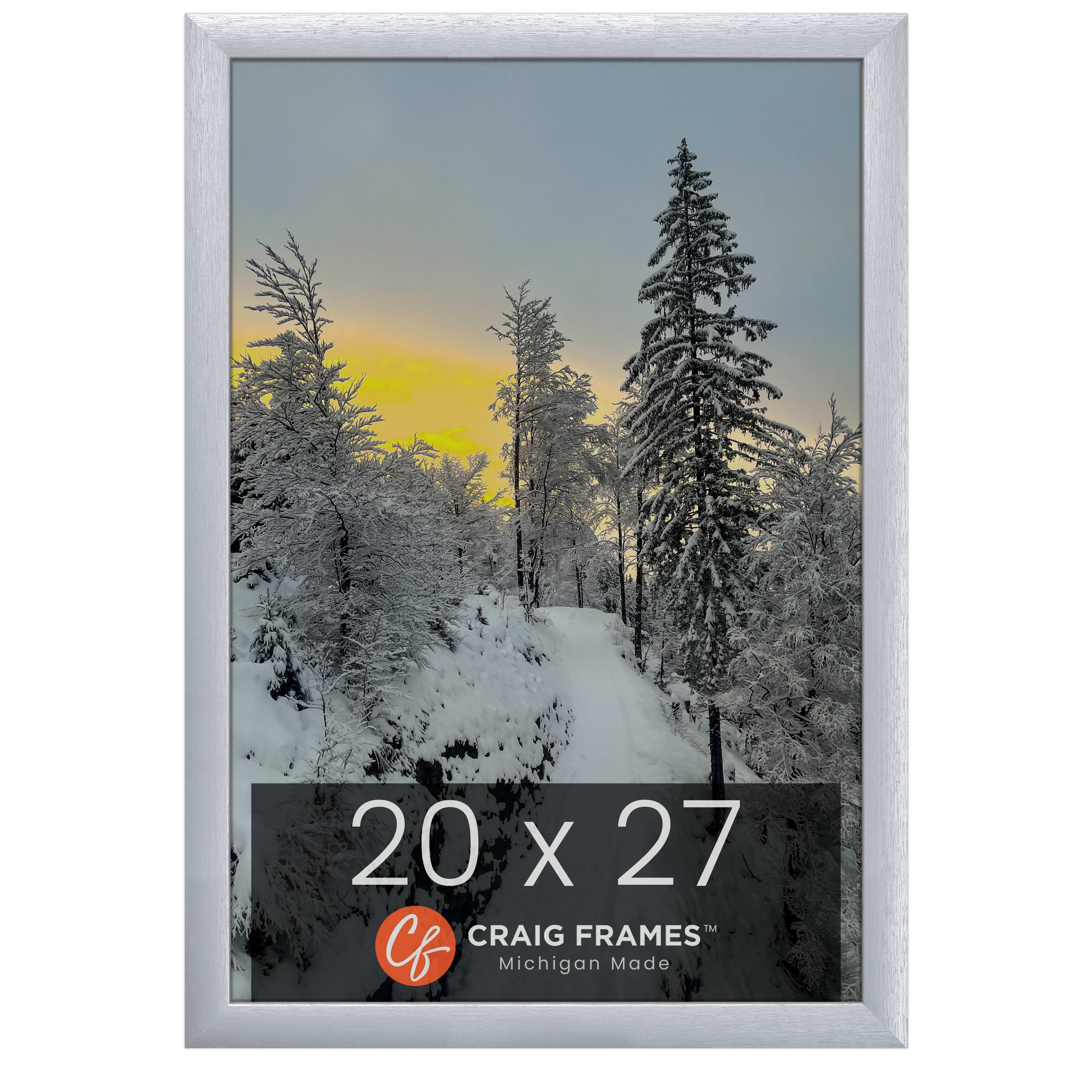 Craig Frames 23247018 Picture Frame, 20x27 inch, Brushed Silver ...