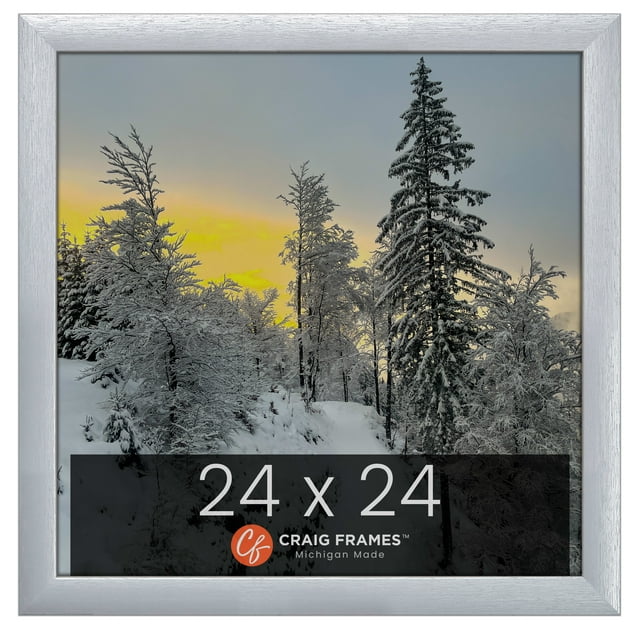Craig Frames 23247018 Picture Frame, 24x24 inch, Brushed Silver ...