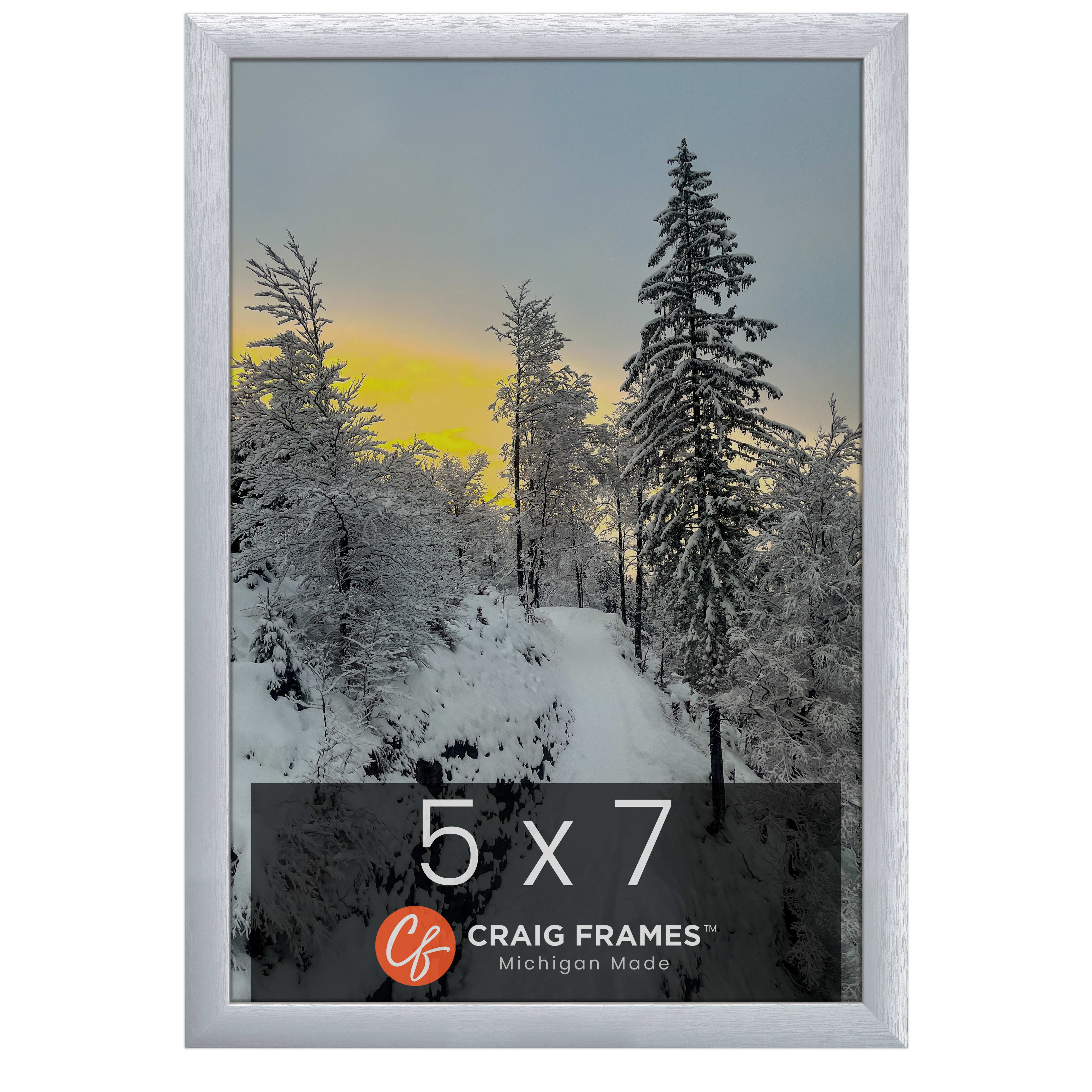 Craig Frames 23247018 Picture Frame, 5x7 inch, Brushed Silver - Walmart.com