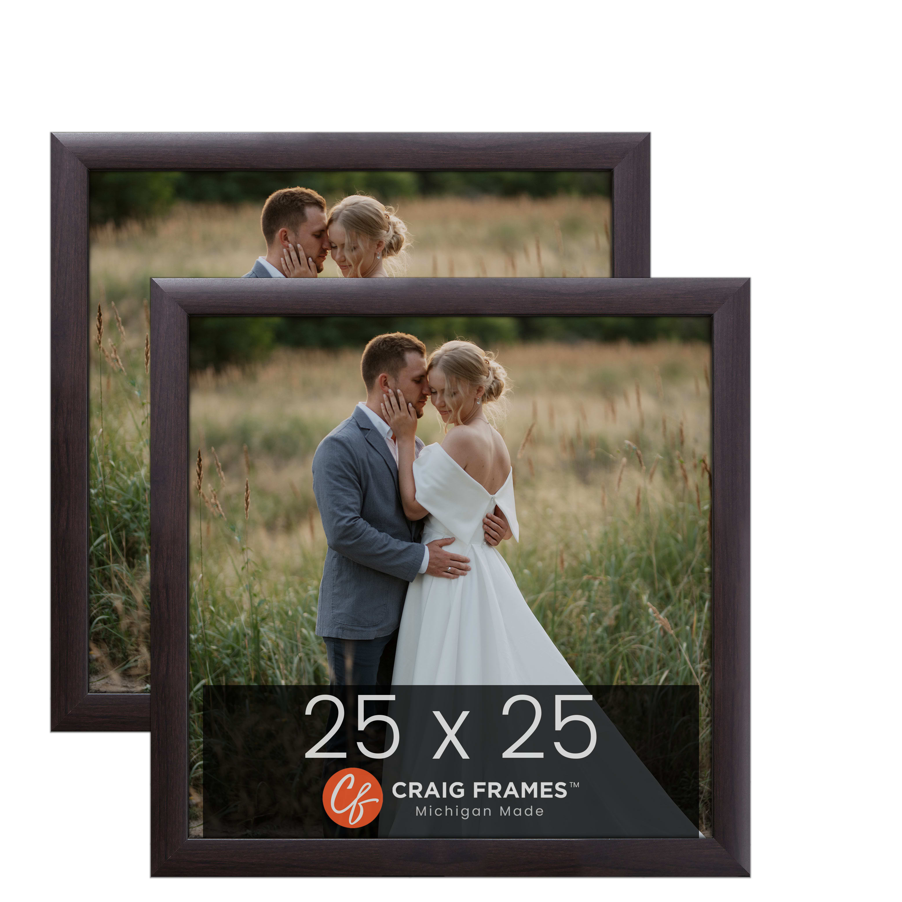 Craig Frames 25 x 25 inch Picture Frame Brazilian Walnut Brown, Set of ...