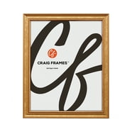 Craig Frames 314GD Ornate Gold Picture Frame, 20x24 Inch, Matted for ...