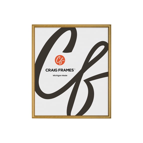 Craig Frames 314GD, 20x24 Picture Frame, Ornate Gold - Walmart.com