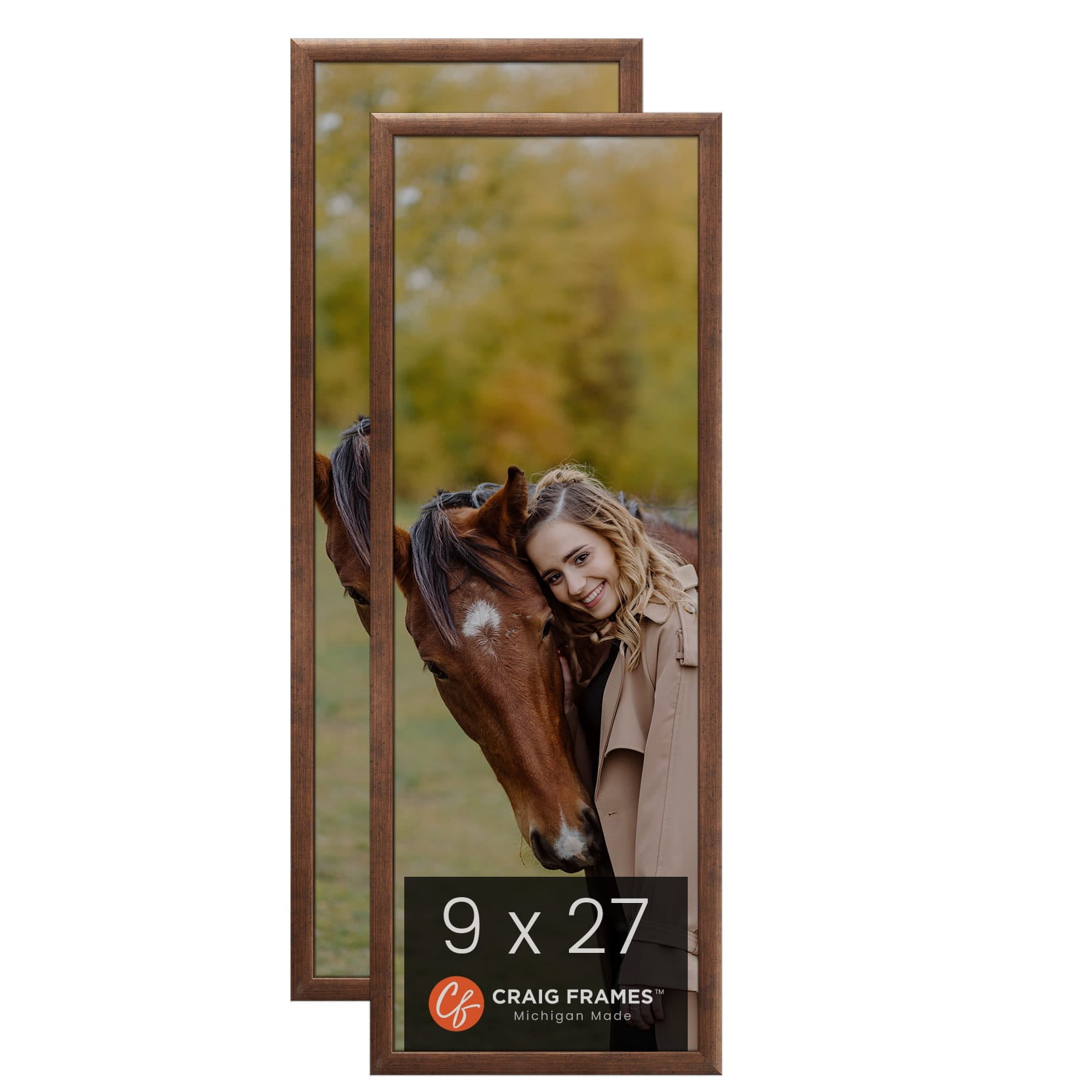 Craig Frames 9x27 Rustic Copper Picture Frame, Set of Two - Walmart.com