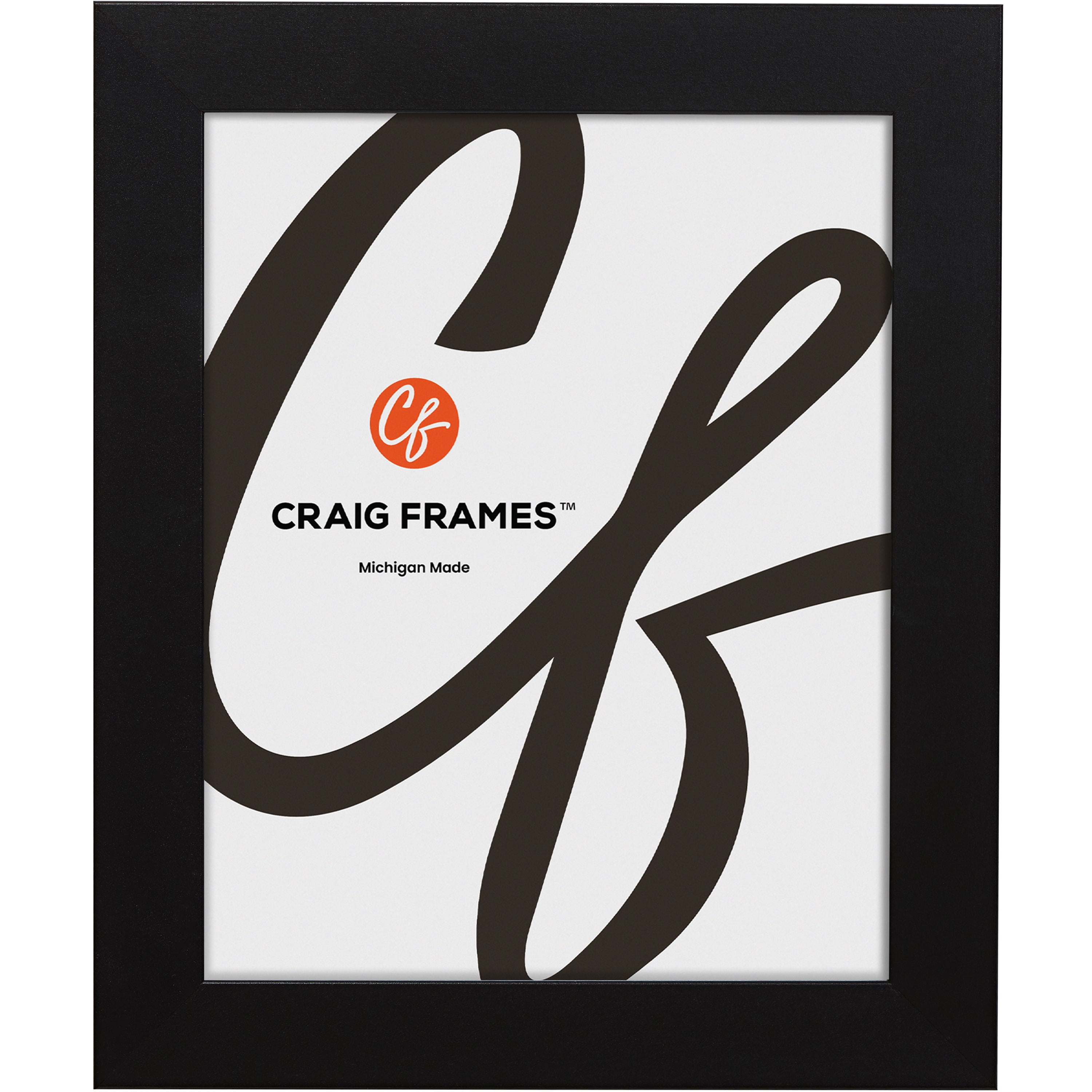 Craig Frames Bauhaus, Modern 1.25" Satin Black Picture Frame, 16x19 ...