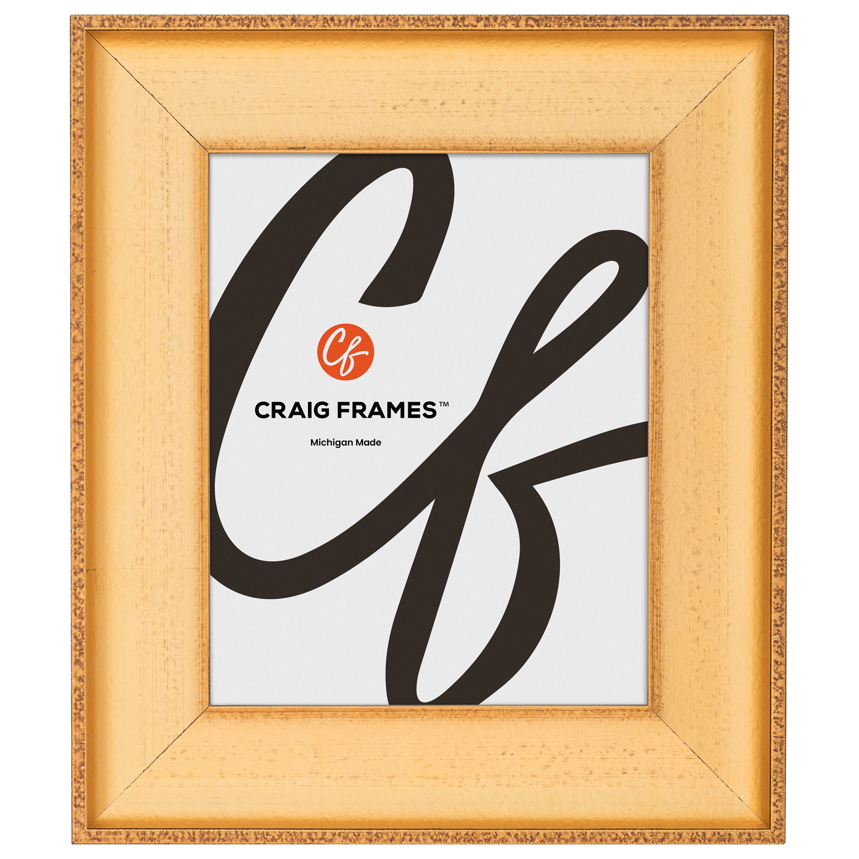 Craig Frames Cairo, 19x24 Picture Frame, Gold - Walmart.com
