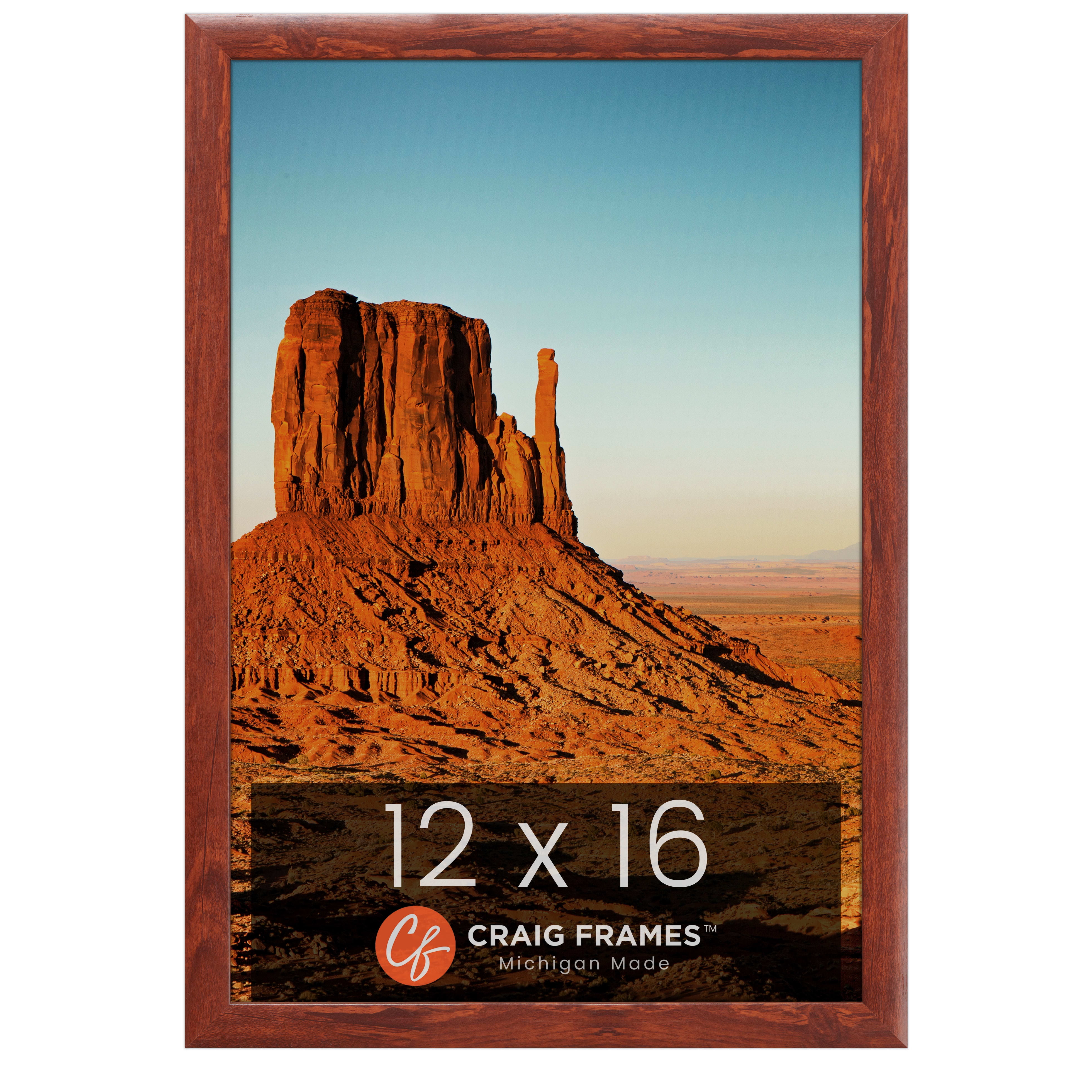 Craig Frames Contemporary 1", 12 x 16 Inch Picture Frame, Modern Honey ...