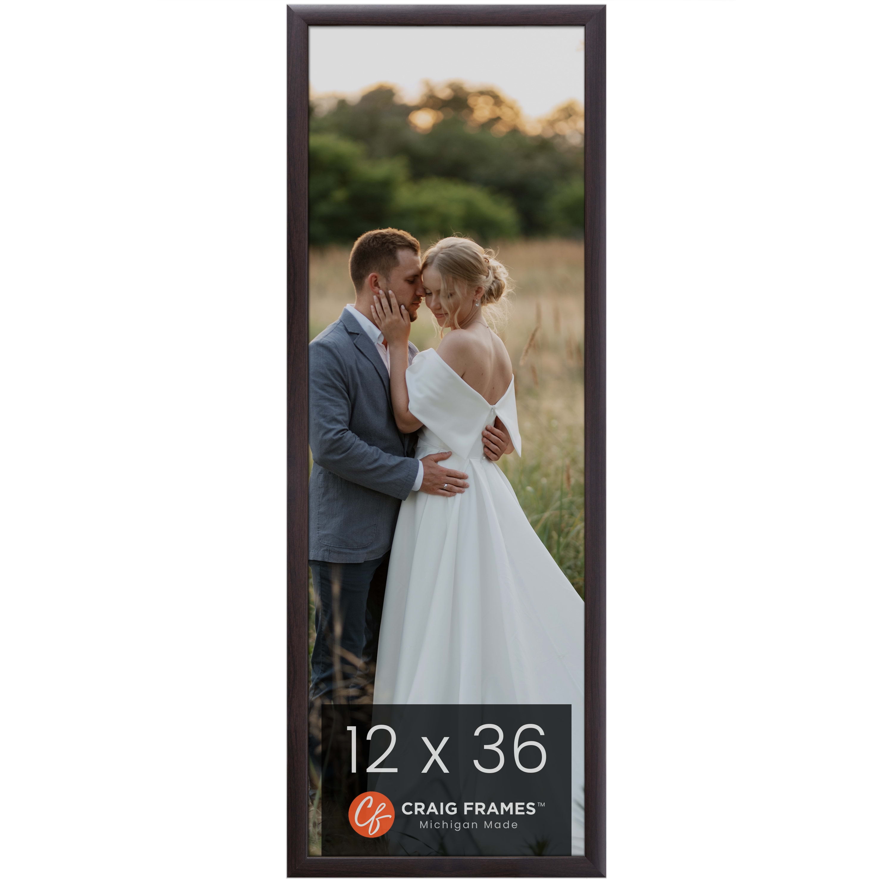 Craig Frames Contemporary, 12 x 36 inch Picture Frame, Brazilian Walnut ...