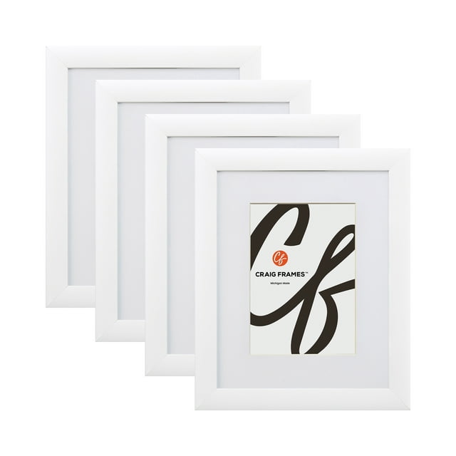 Craig Frames Contemporary, 20x30 Inch White Picture Frame Matted to ...