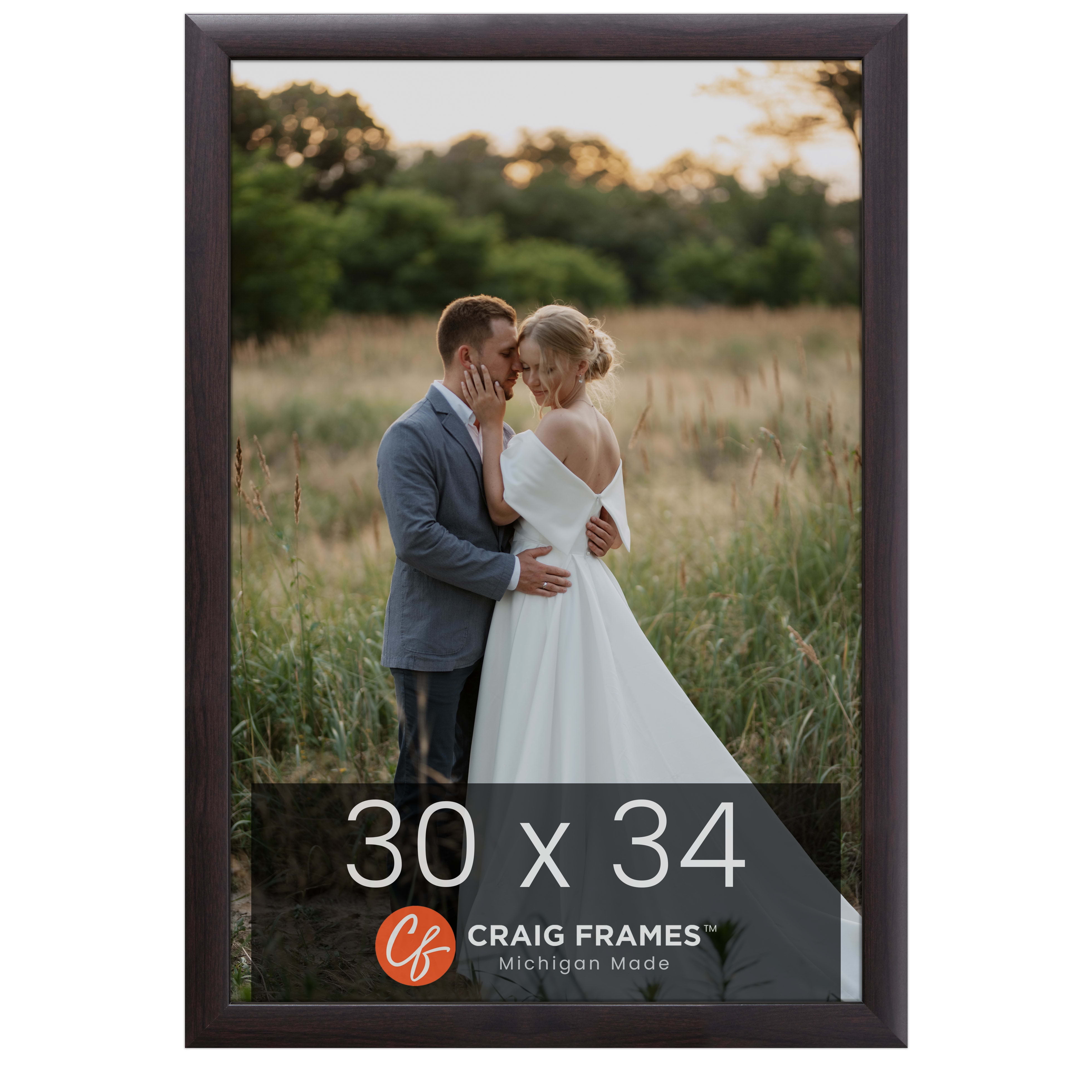 Craig Frames Contemporary, 30 x 34 inch Picture Frame, Brazilian Walnut ...