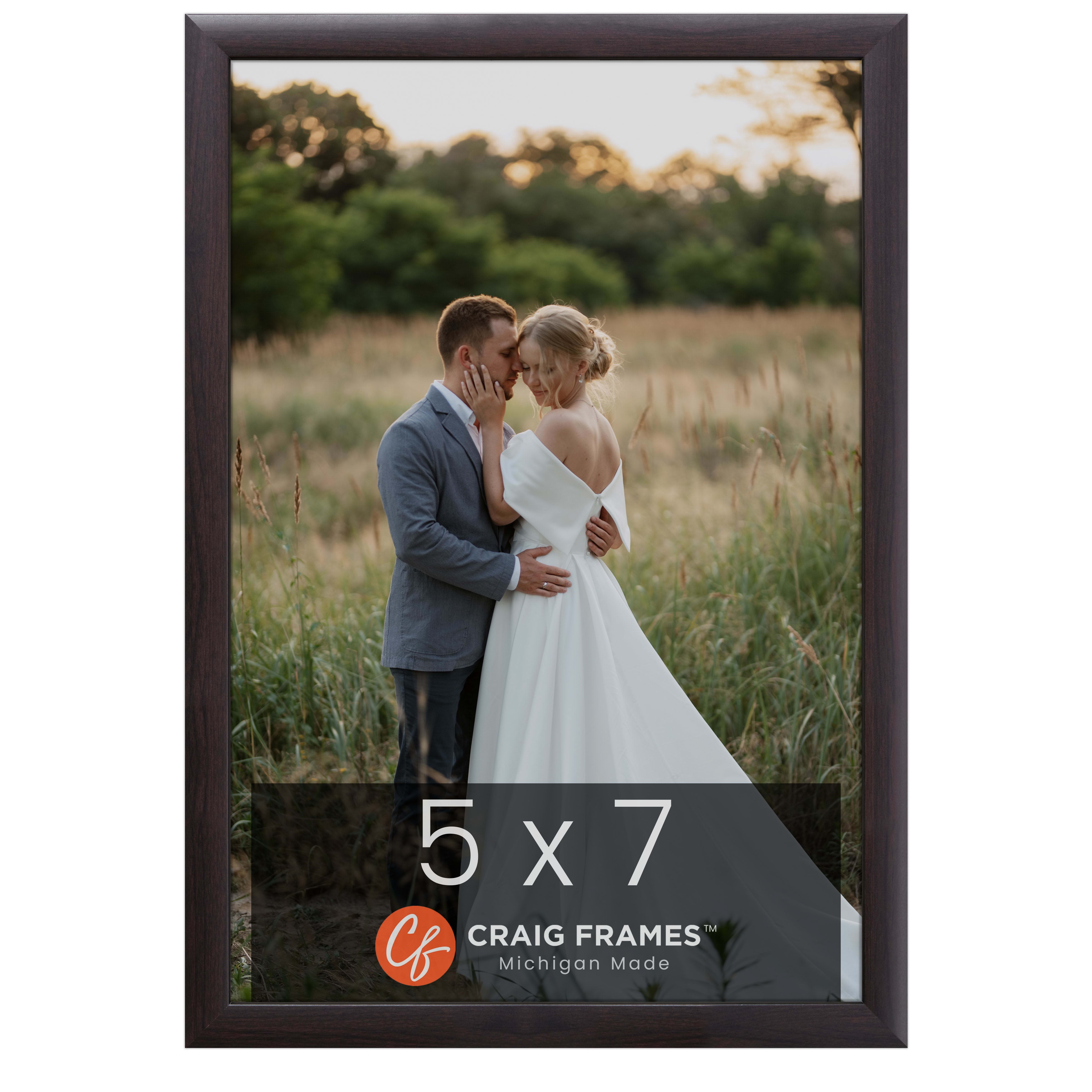 Craig Frames Contemporary, 5 x 7 inch Picture Frame, Brazilian Walnut ...