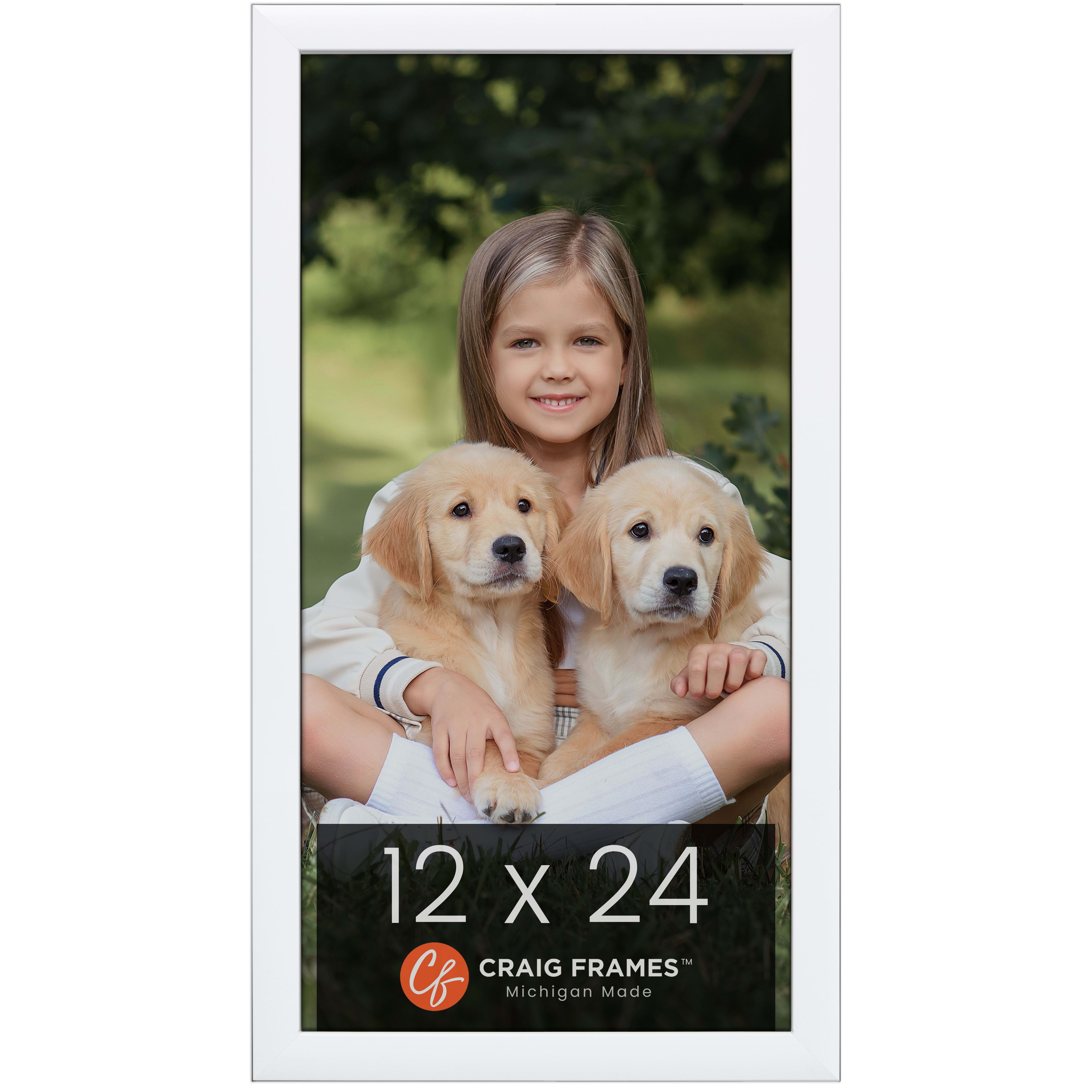 Craig Frames Contemporary Picture Frame, 12x24 Inch, White - Walmart.com