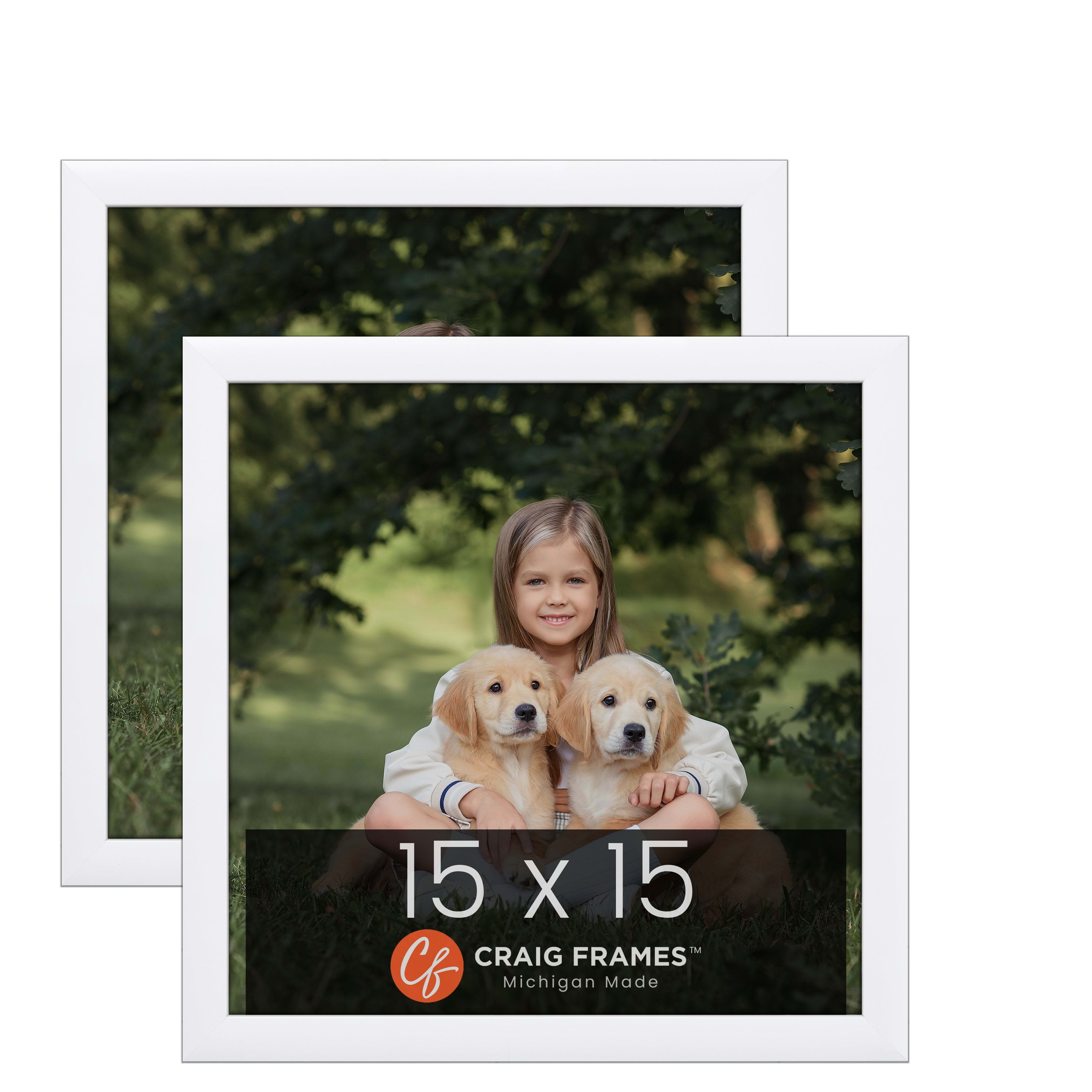 Craig Frames Contemporary Picture Frame, 15x15 Inch, White, Set of 2 ...