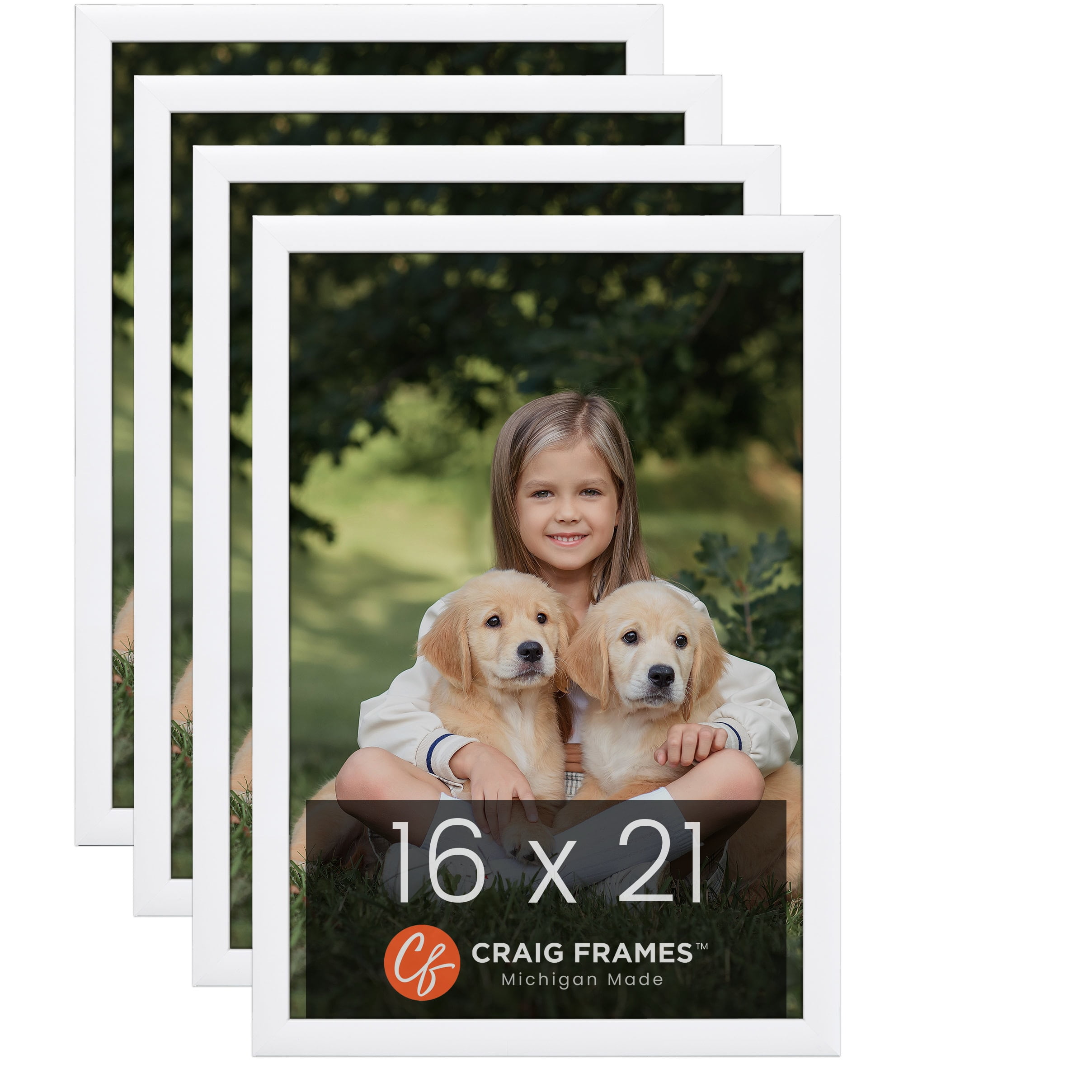 Craig Frames Contemporary Picture Frame, 16x21 Inch, White, Set of 4 ...