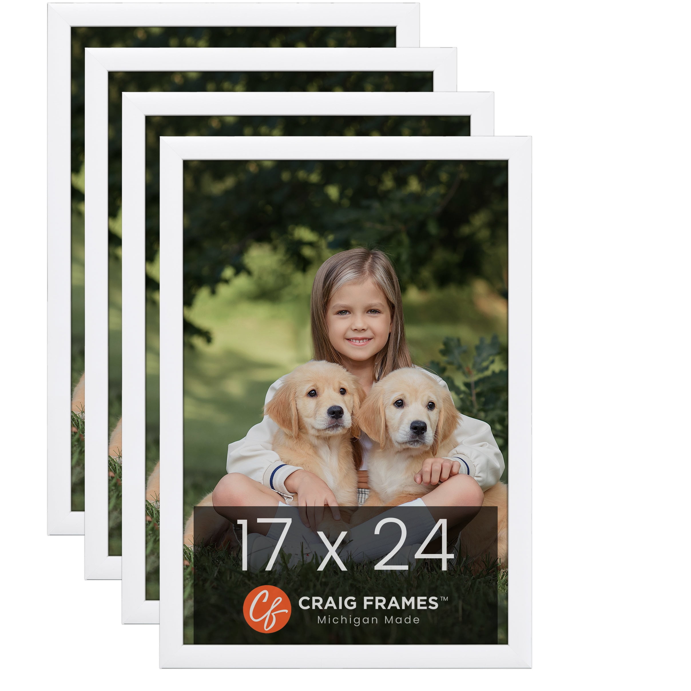 Craig Frames Contemporary Picture Frame, 17x24 Inch, White, Set of 4 ...