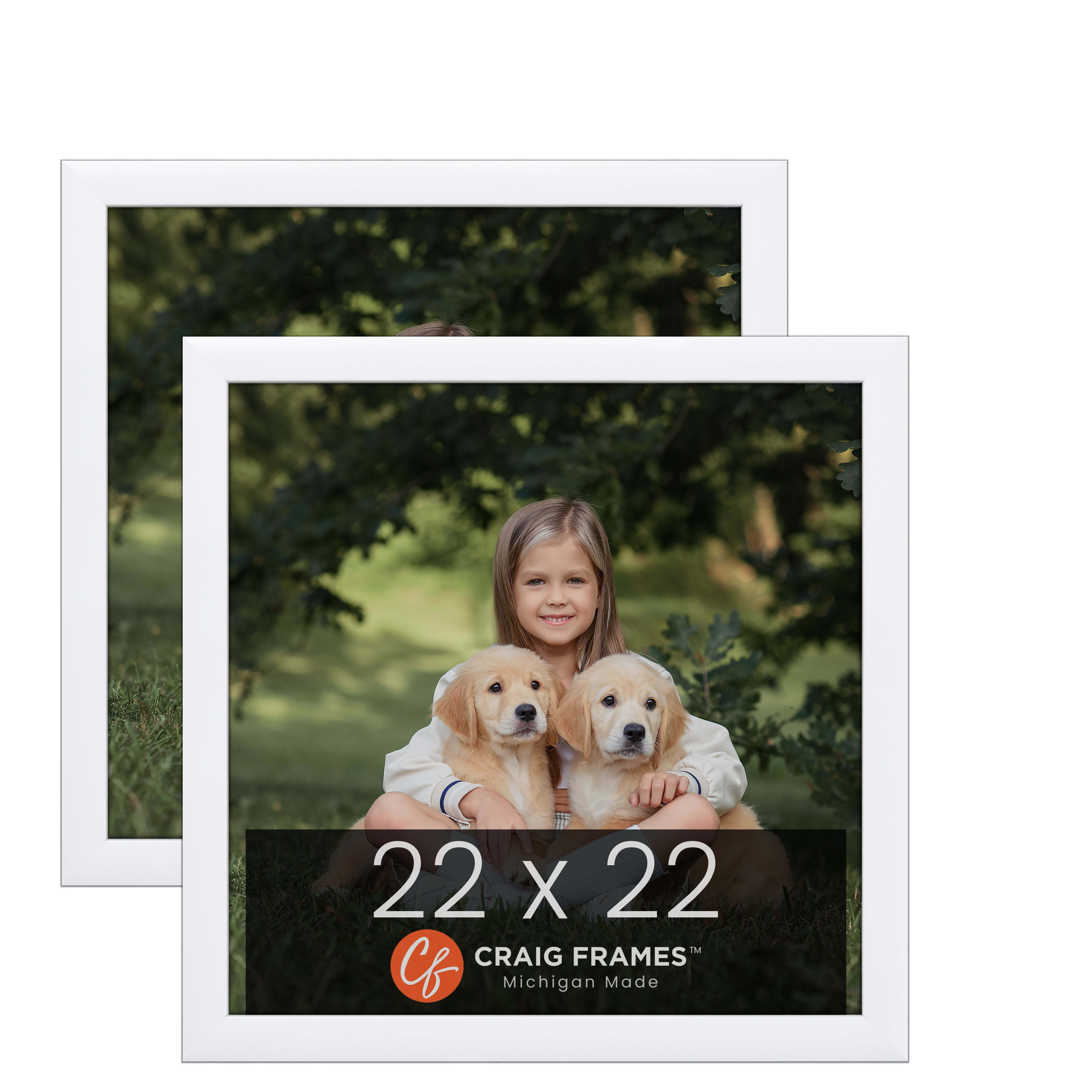 Craig Frames Contemporary Picture Frame, 22x22 Inch, White, Set of 2 ...