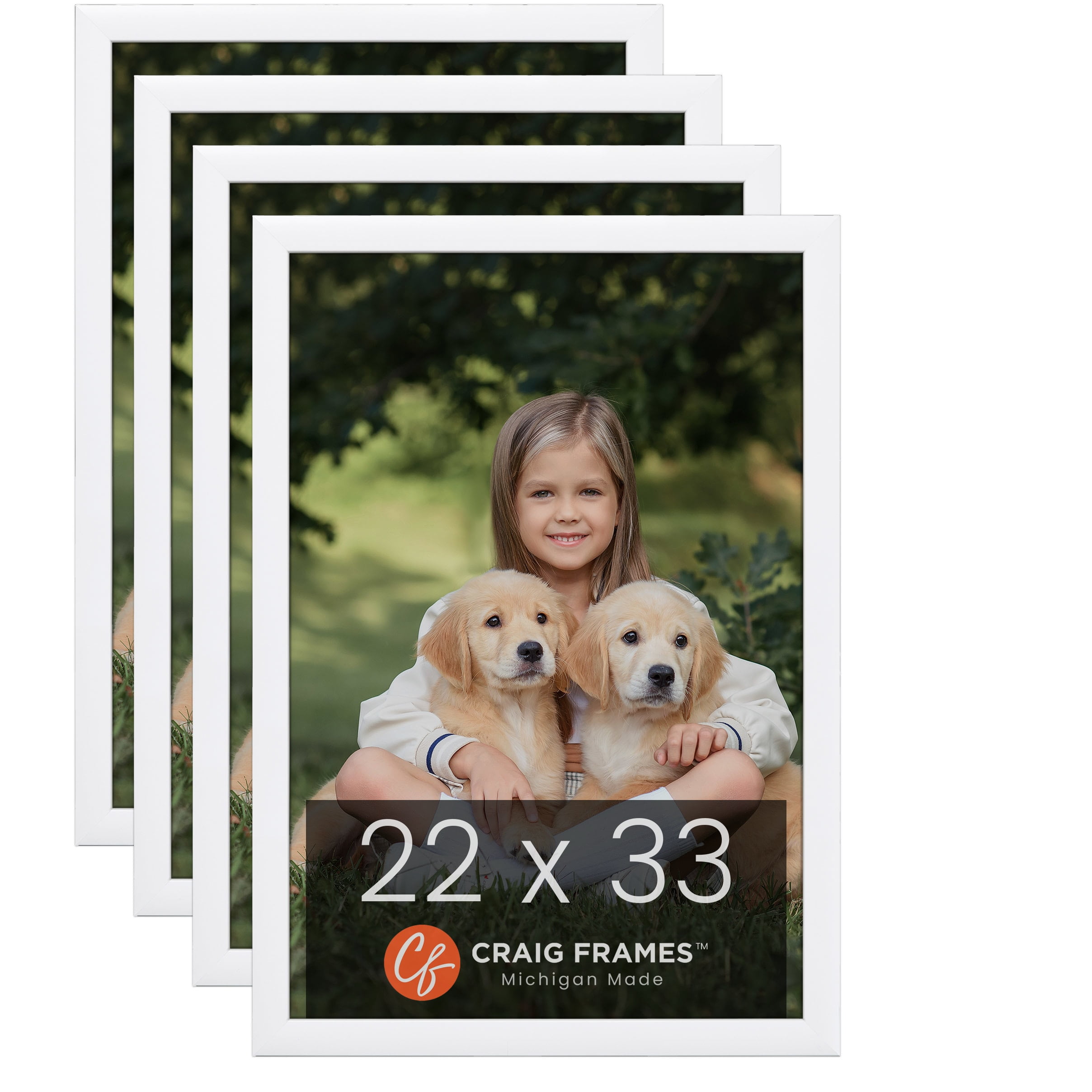 Craig Frames Contemporary Picture Frame, 22x33 Inch, White, Set of 4 ...
