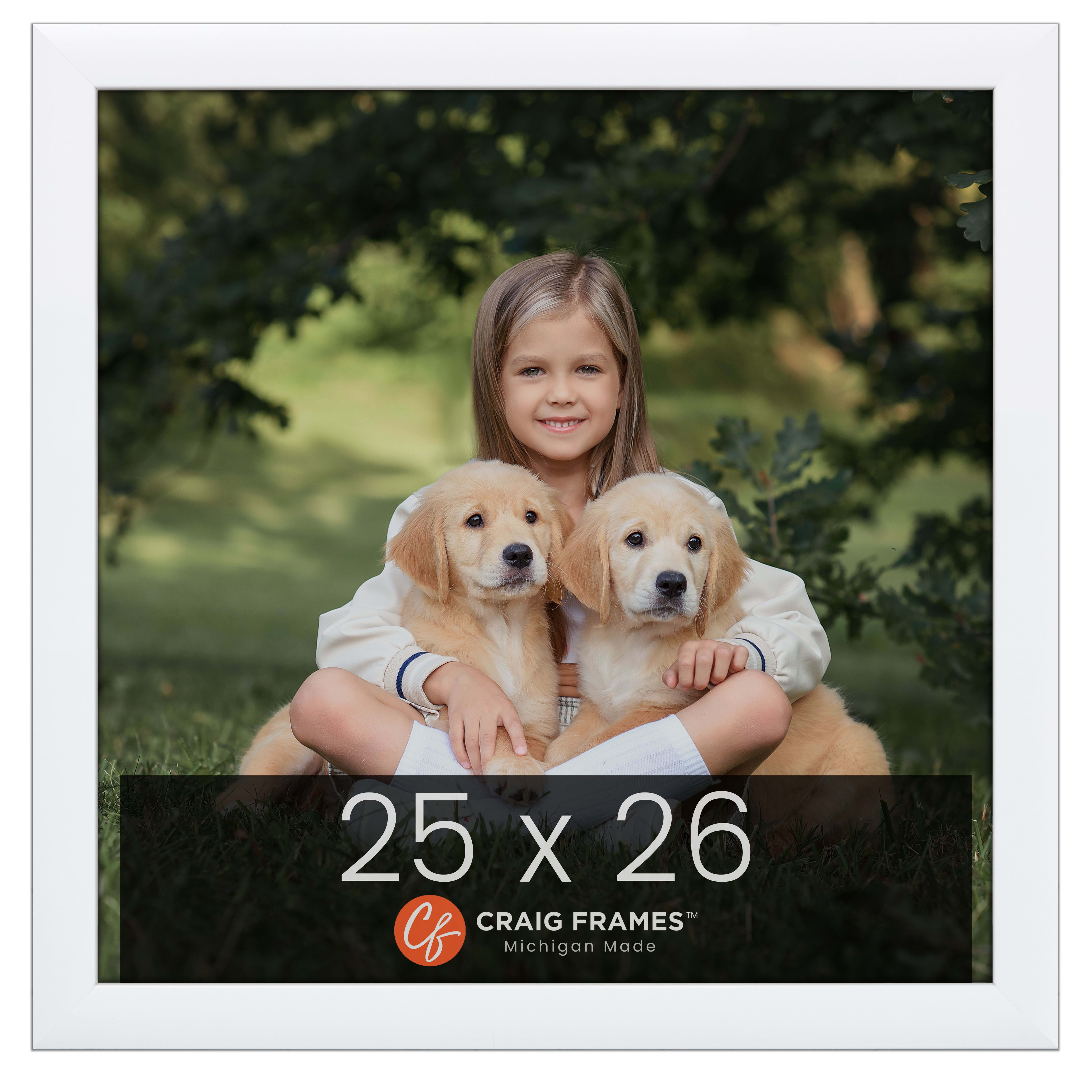 Craig Frames Contemporary Picture Frame, 25x26 Inch, White - Walmart.com