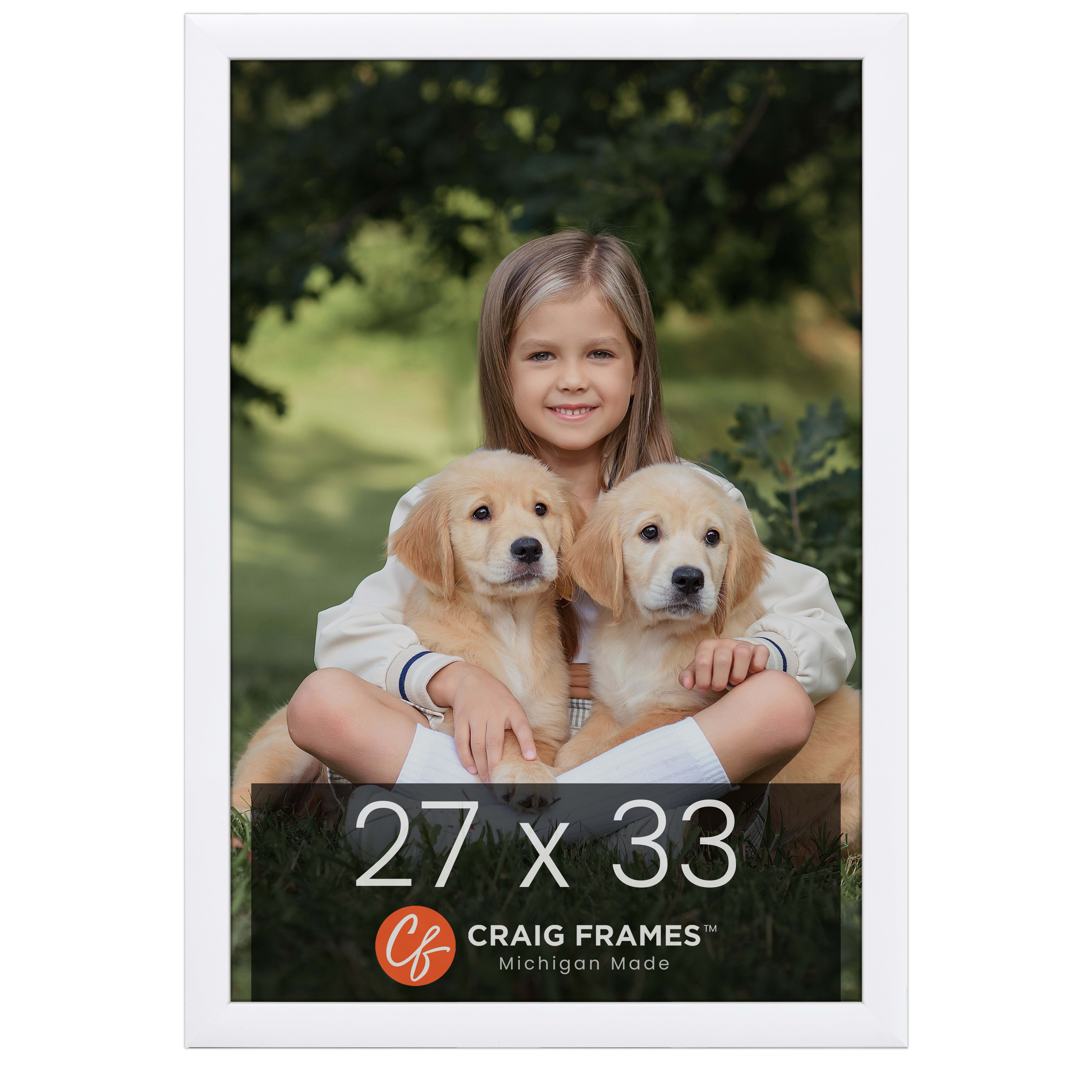 Craig Frames Contemporary Picture Frame, 27x33 Inch, White - Walmart.com