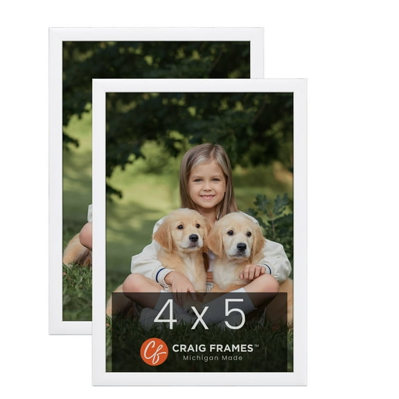 Picture Frames 4 X 5