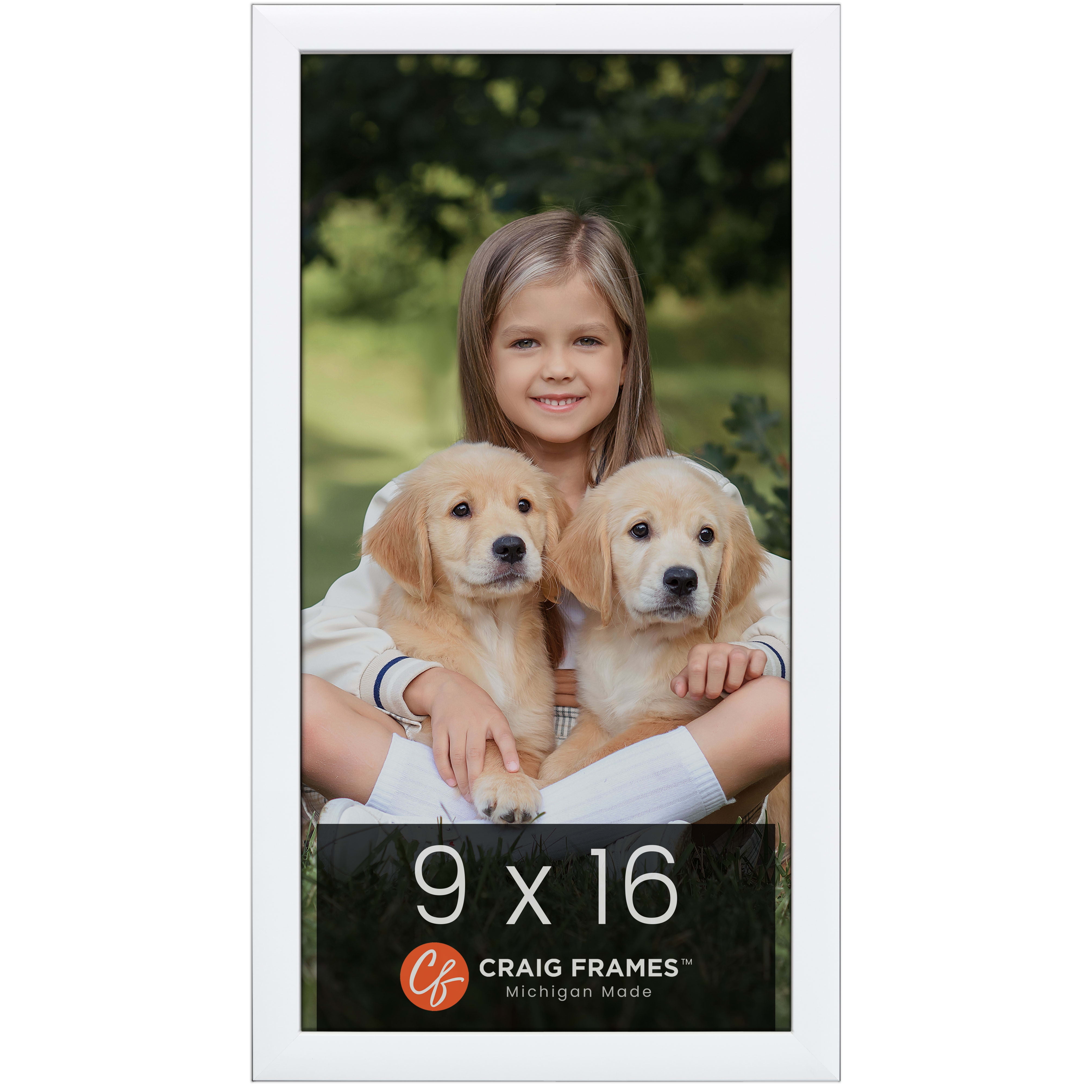Craig Frames Contemporary Picture Frame, 9x16 Inch, White - Walmart.com